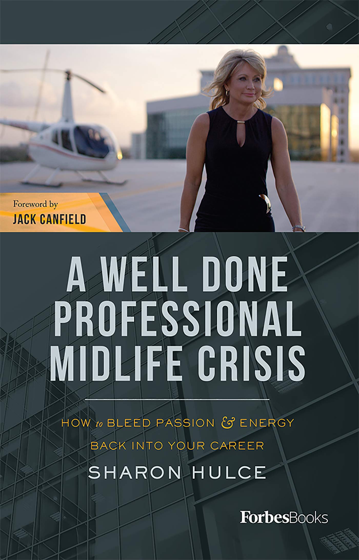 A Well Done Professional Midlife Crisis: How To Bleed Passion & Energy ...