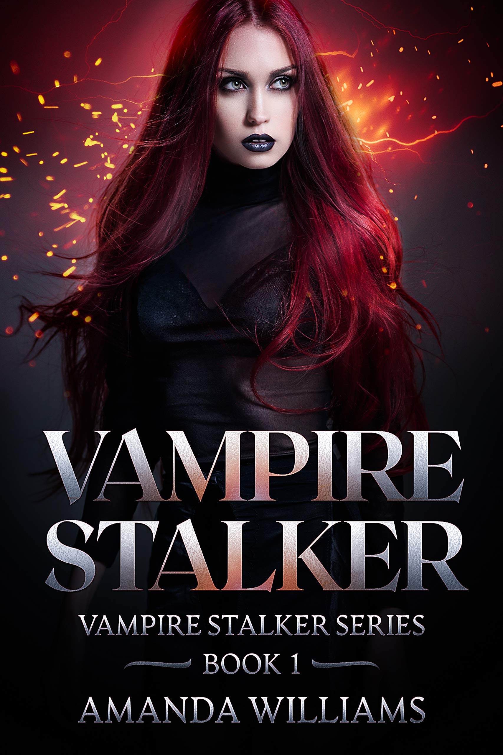 Vampire Stalker ( Vampire Stalker Series Book 1) by Amanda Williams ...