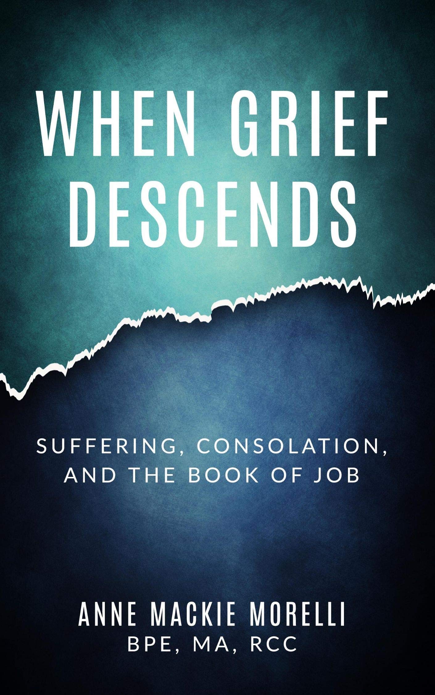 When Grief Descends: Suffering, Consolation, And The Book Of Job by ...