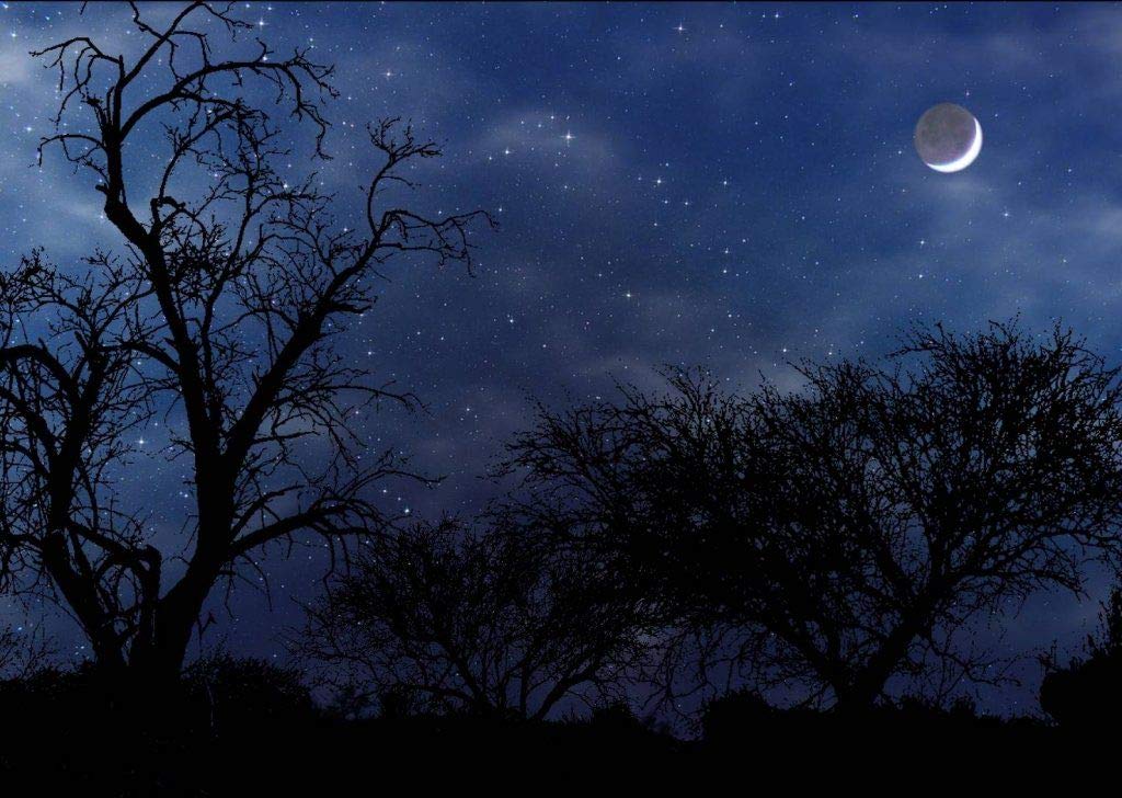 Windy Nights: A child imagines a windy night as a rider on a galloping ...