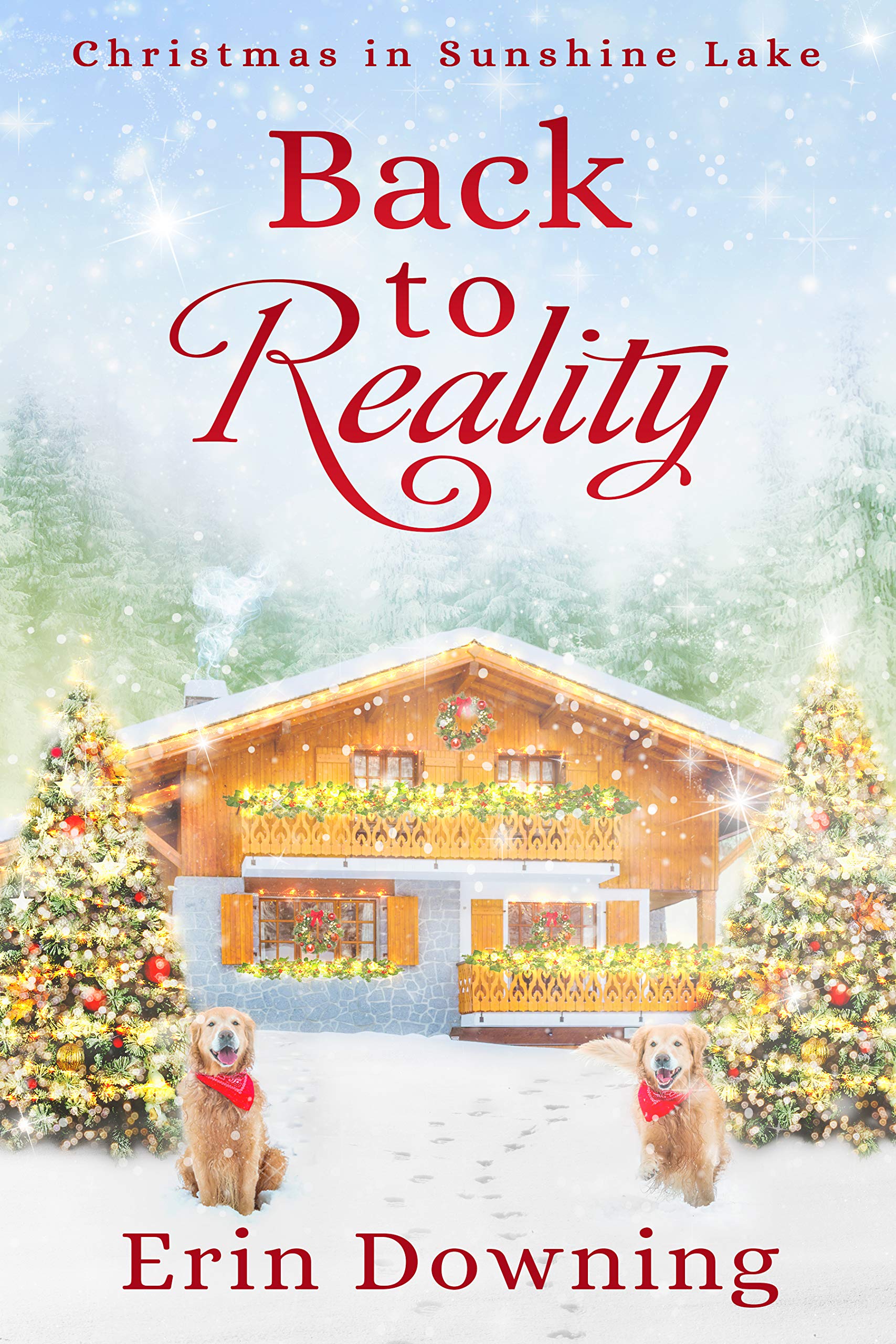 Back to Reality: Christmas in Sunshine Lake by Erin Soderberg Downing ...