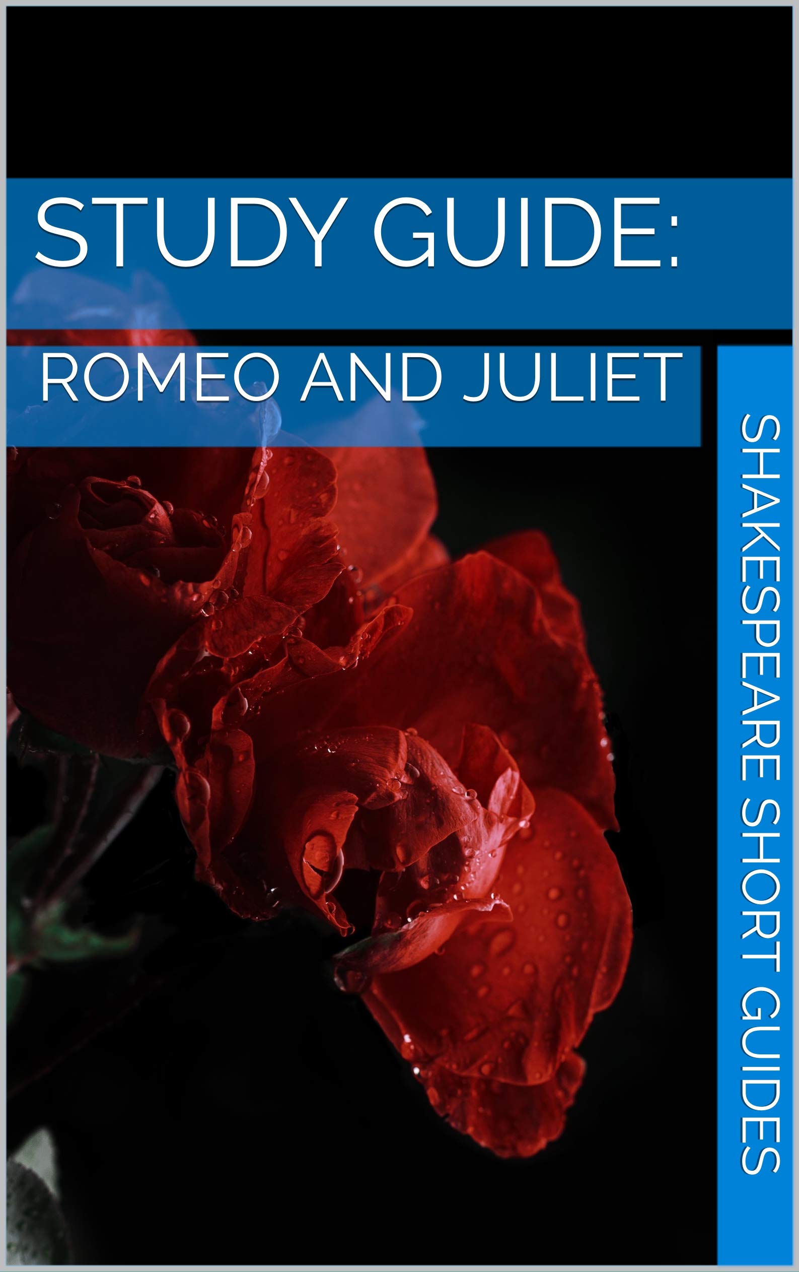 Study Guide: Romeo and Juliet: analysis, notes and exemplar essays by E ...