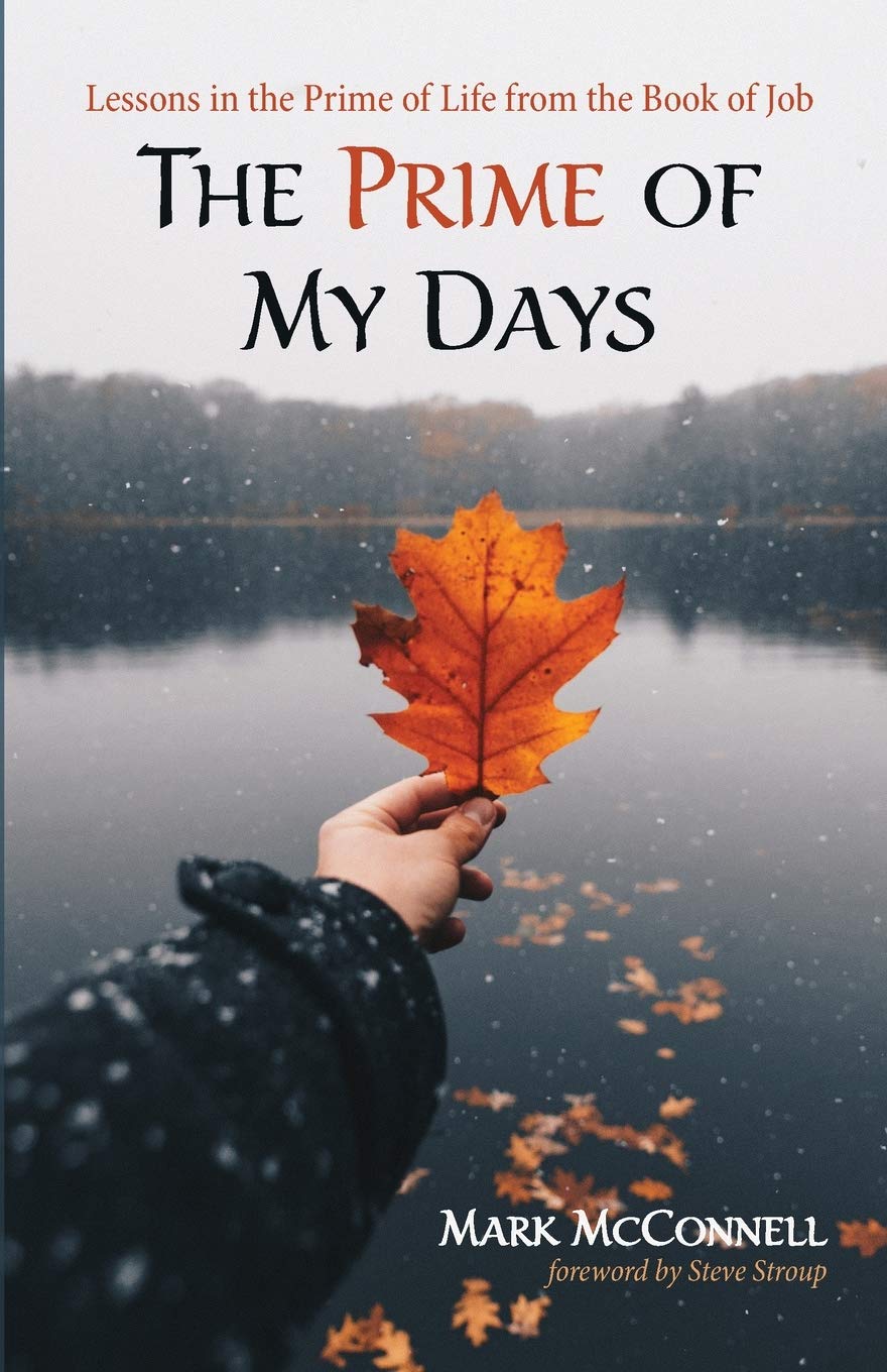 The Prime of My Days: Lessons in the Prime of Life from the Book of Job ...