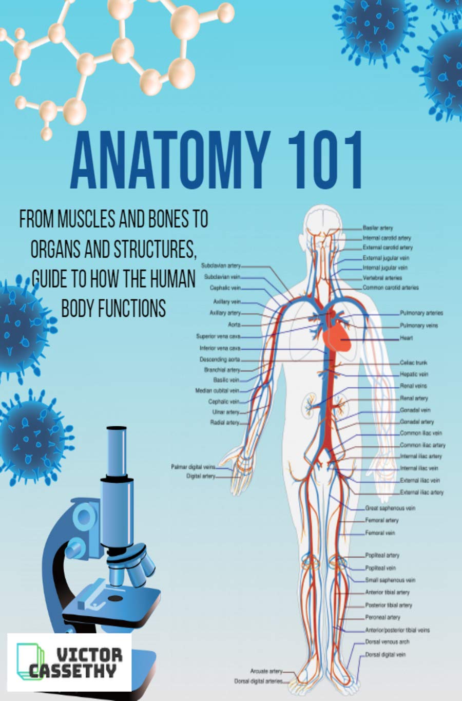 Anatomy 101: From Muscles and Bones to Organs and Structures, Guide to ...