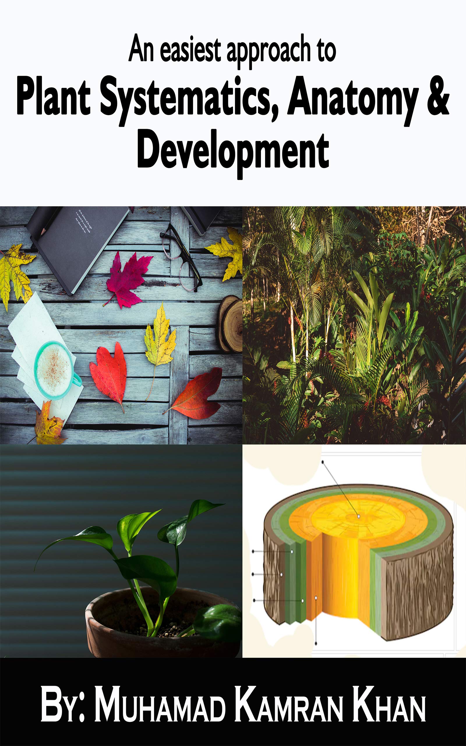 Plant Systematics, Anatomy & Development by Muhammad Kamran Khan ...