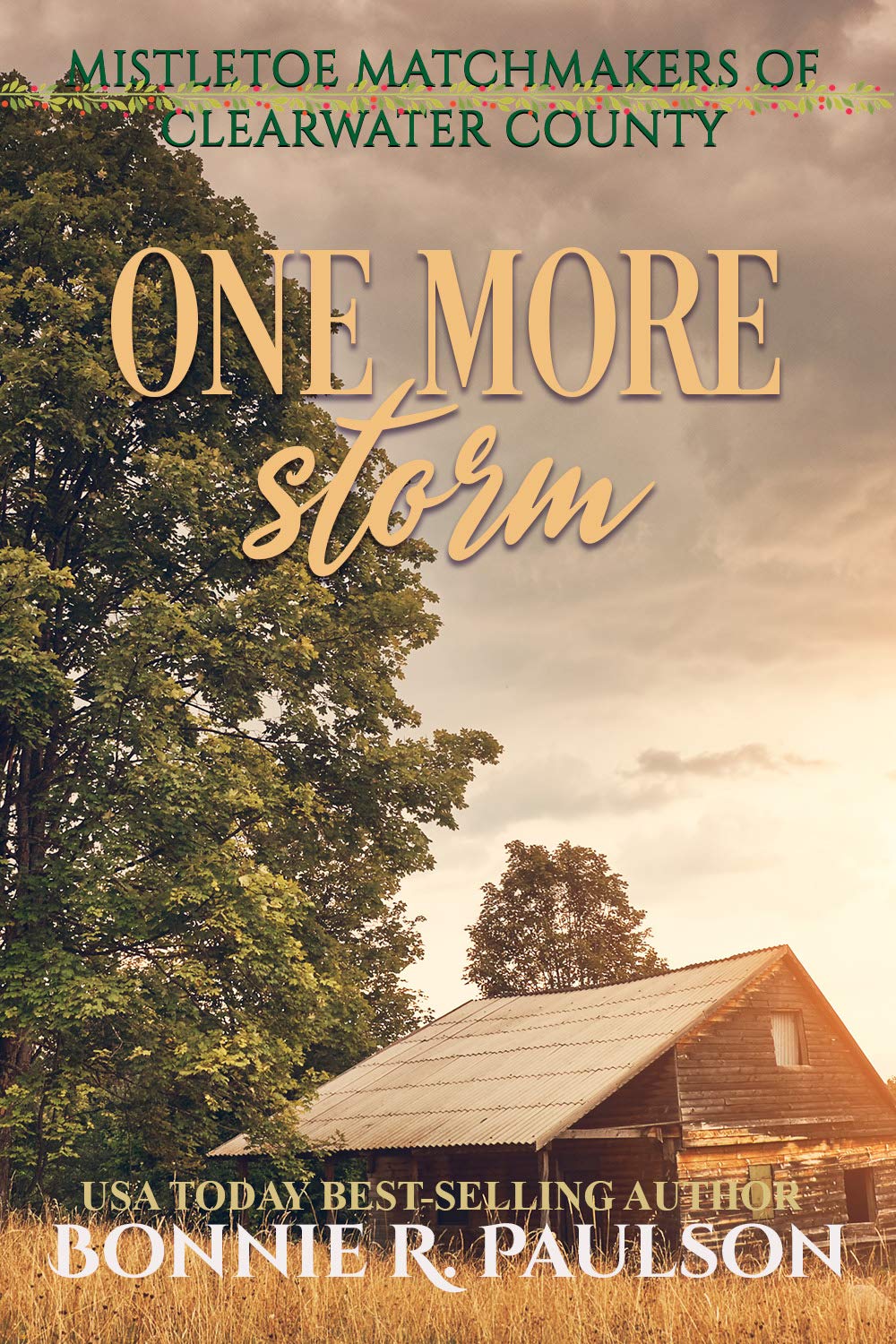One More Storm by Bonnie R. Paulson | Goodreads