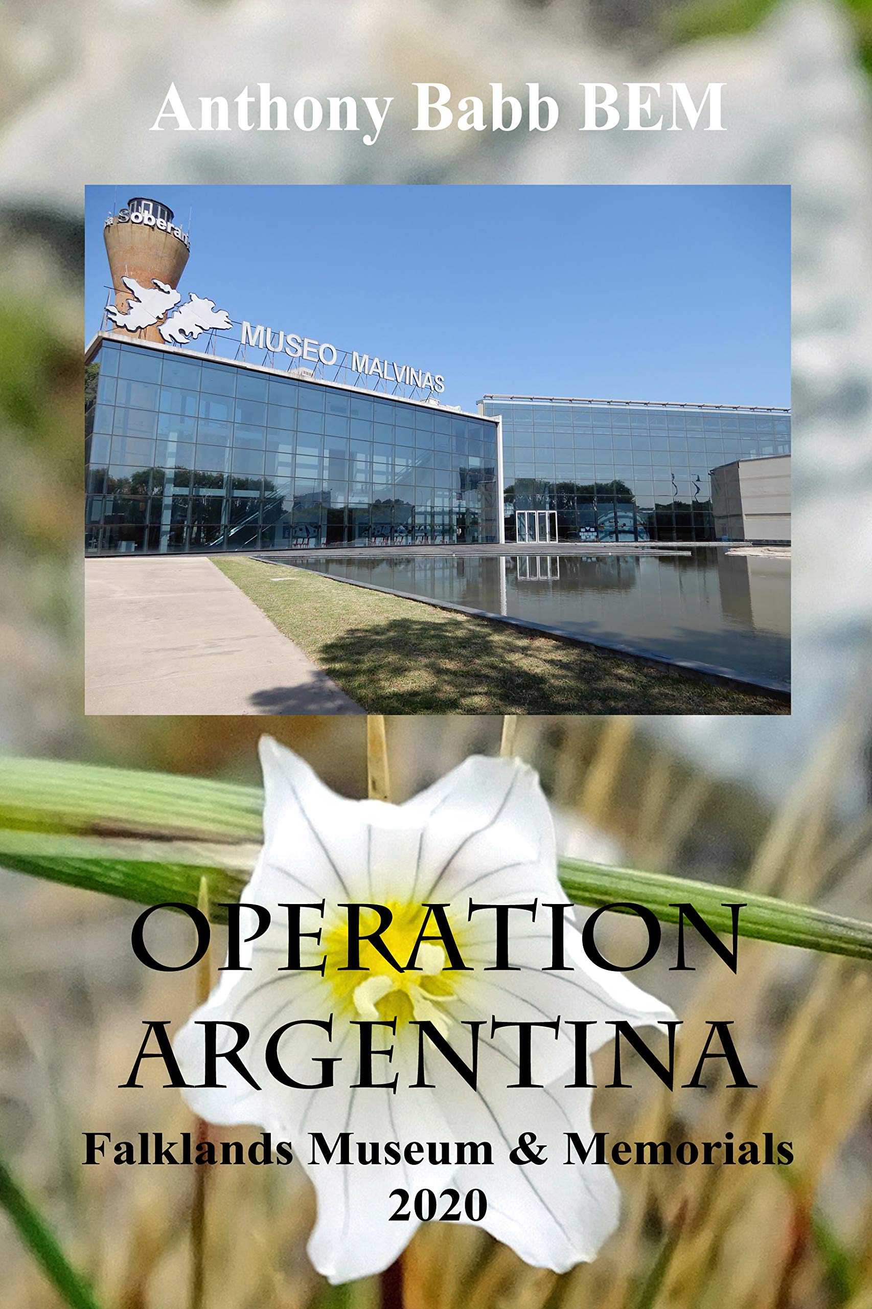 Operation Argentina: Falklands Museum, Rattenbach Report & Memorials ...