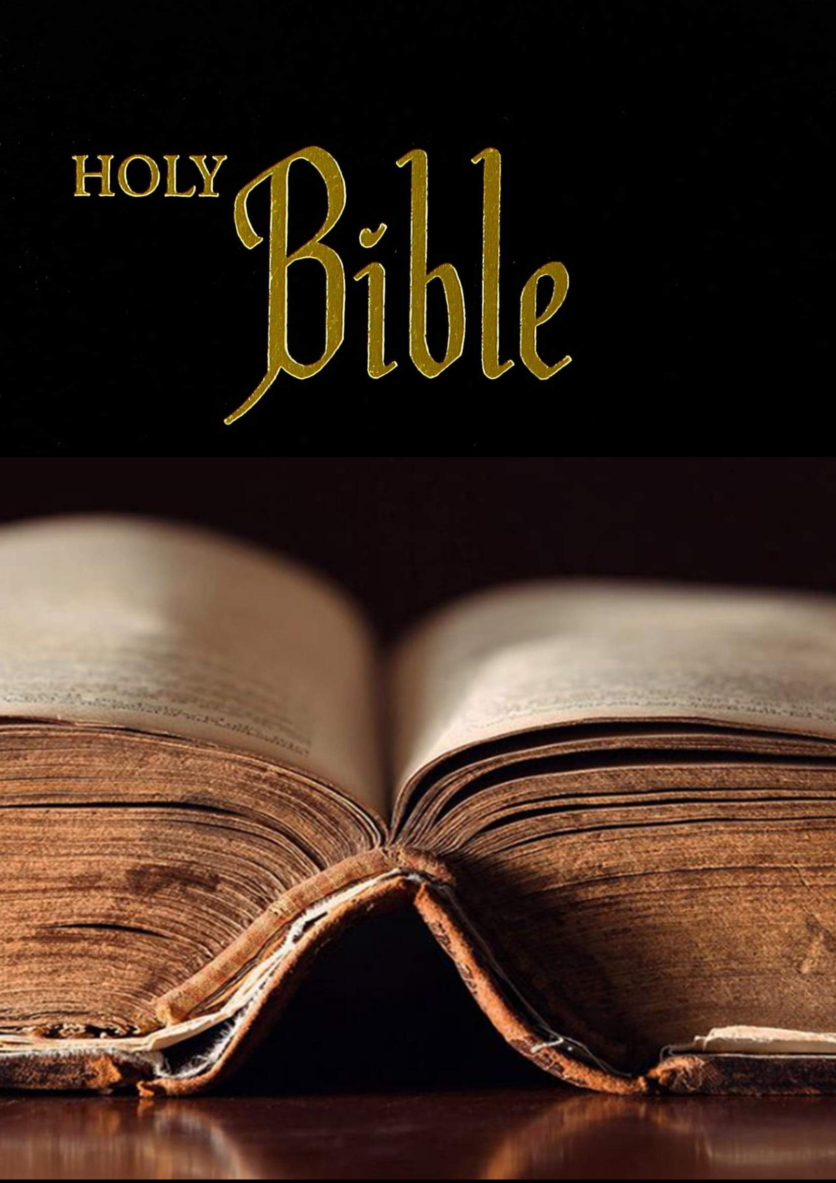 bible_850_words: the bible in basic english. the most readable modern ...