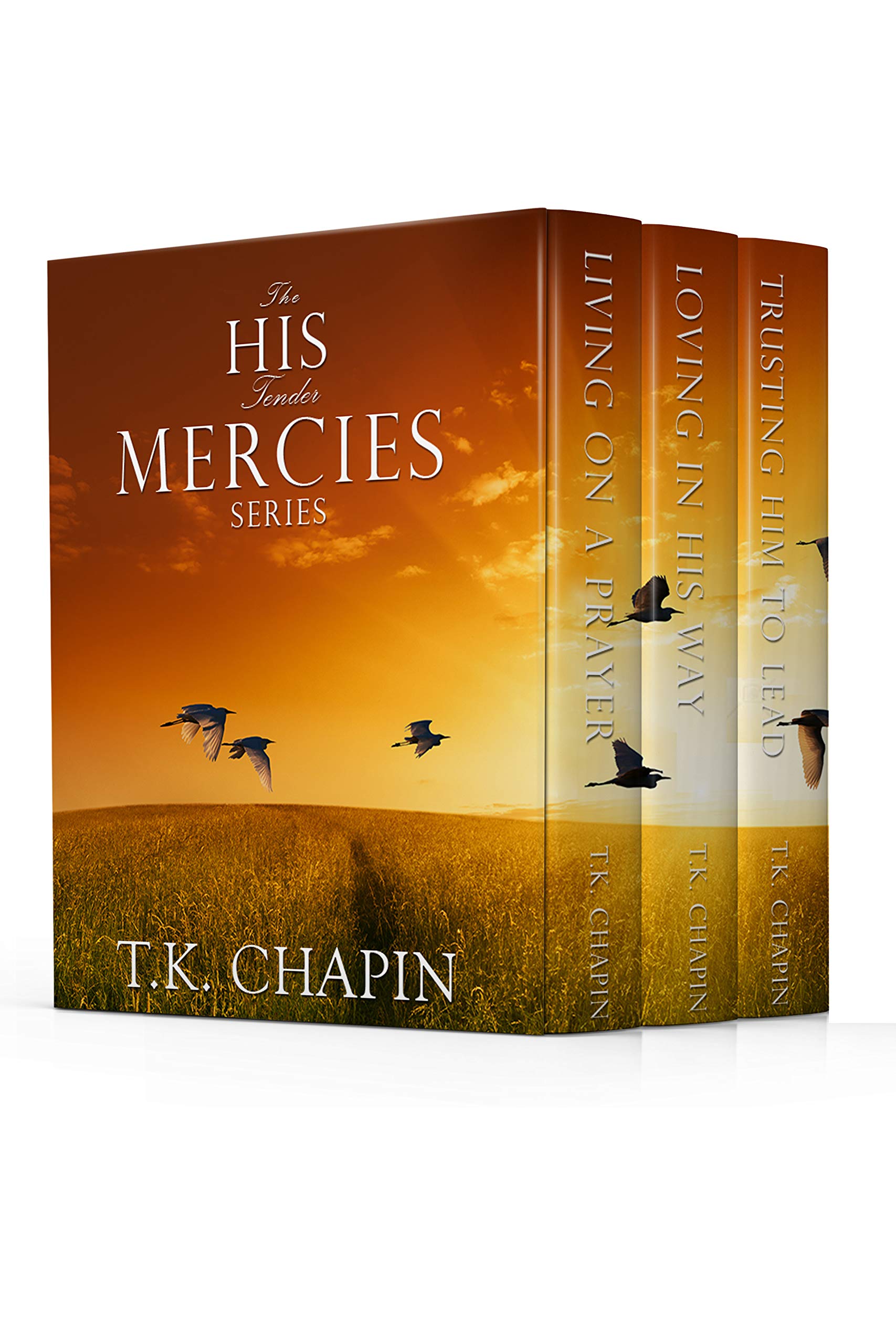 His Tender Mercies Complete Series by T.K. Chapin | Goodreads