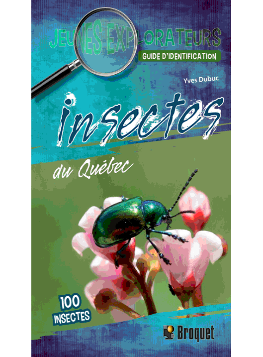 Insectes du Québec by Yves Dubuc | Goodreads