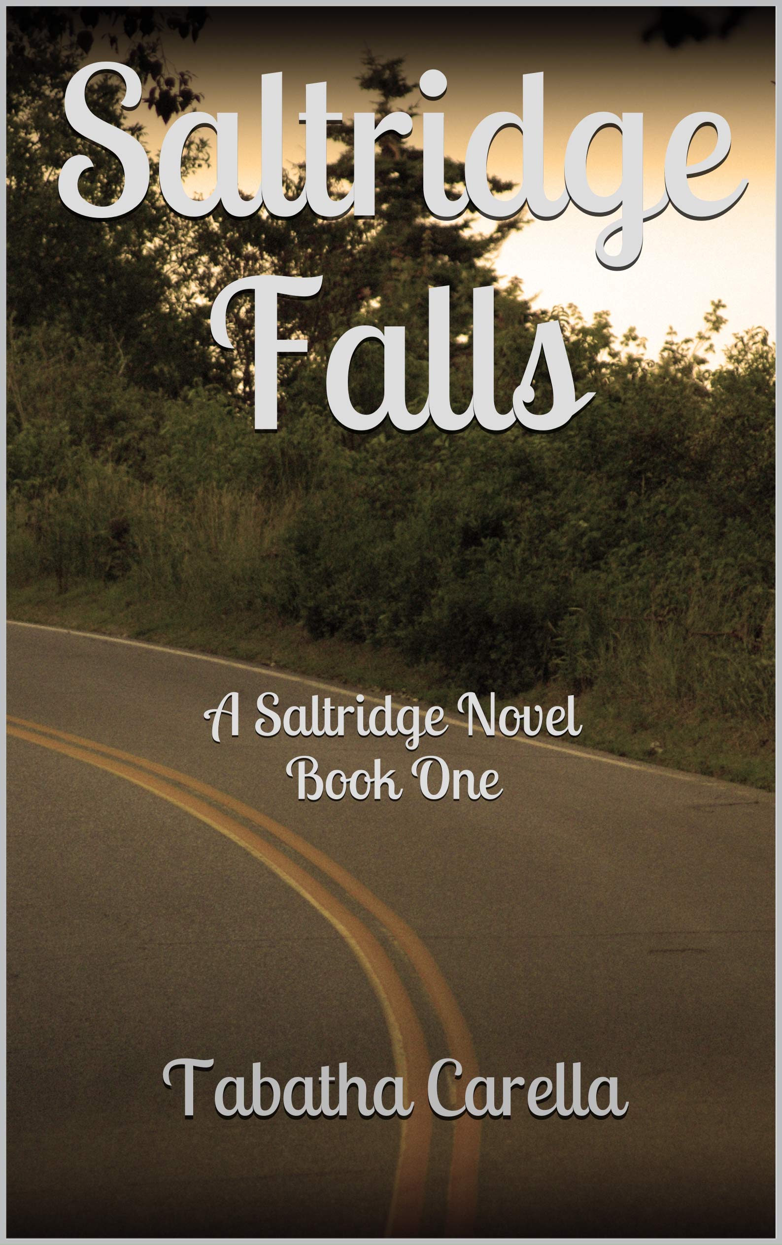 Saltridge Falls: A Saltridge Novel Book One by Tabatha Carella | Goodreads