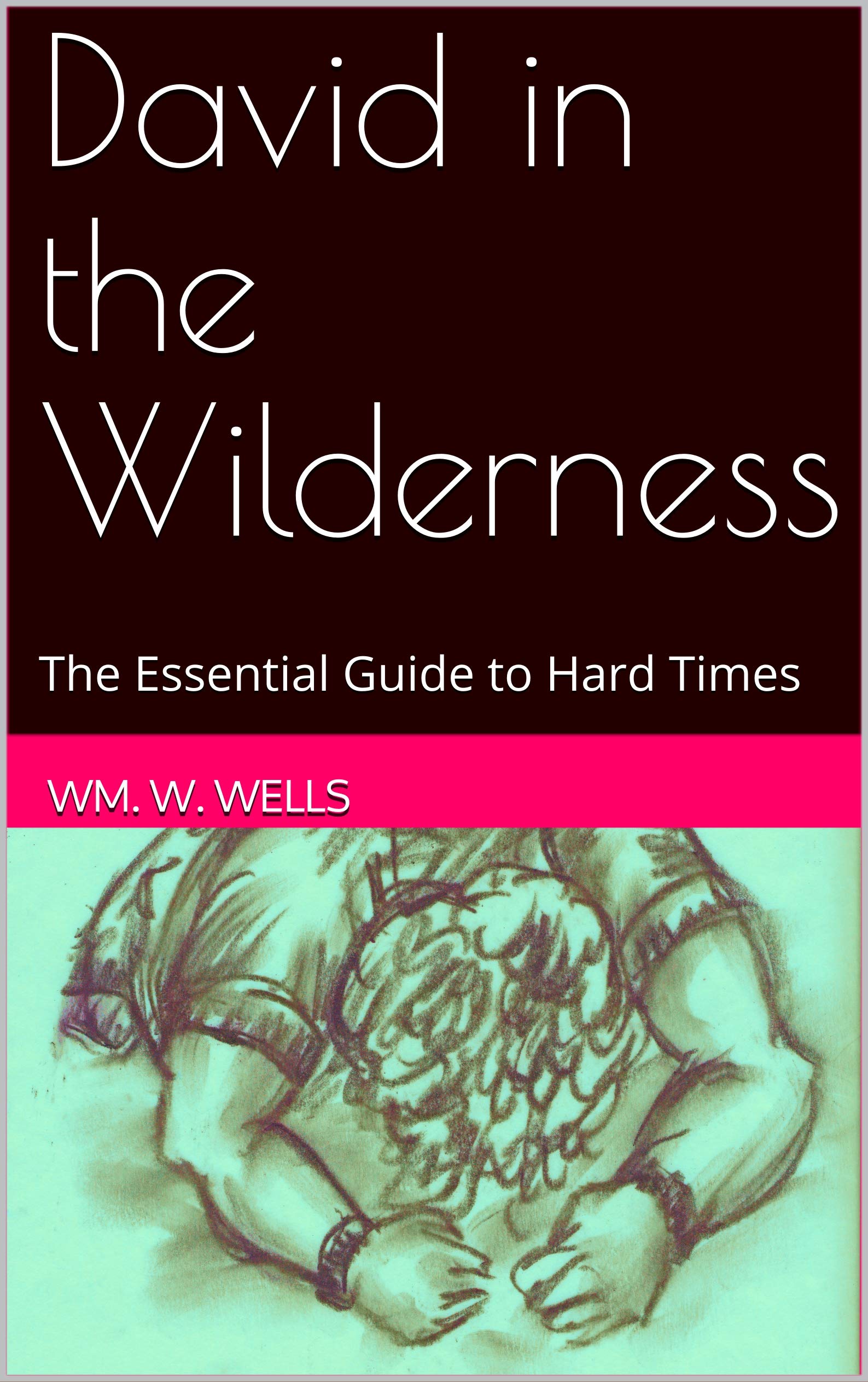 David in the Wilderness: The Essential Guide to Hard Times by Wm. W ...