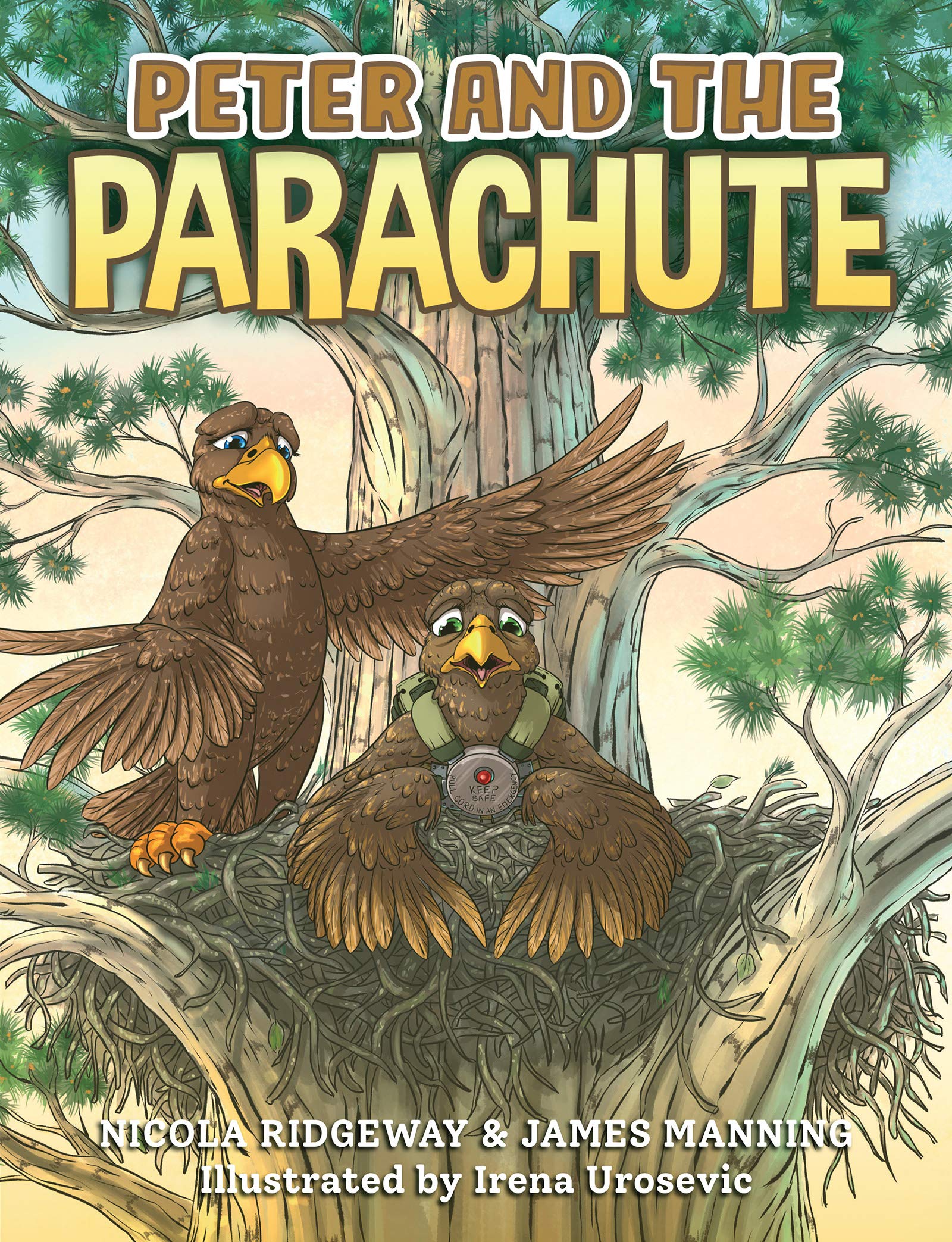 Peter and the Parachute by Nicola Ridgeway | Goodreads