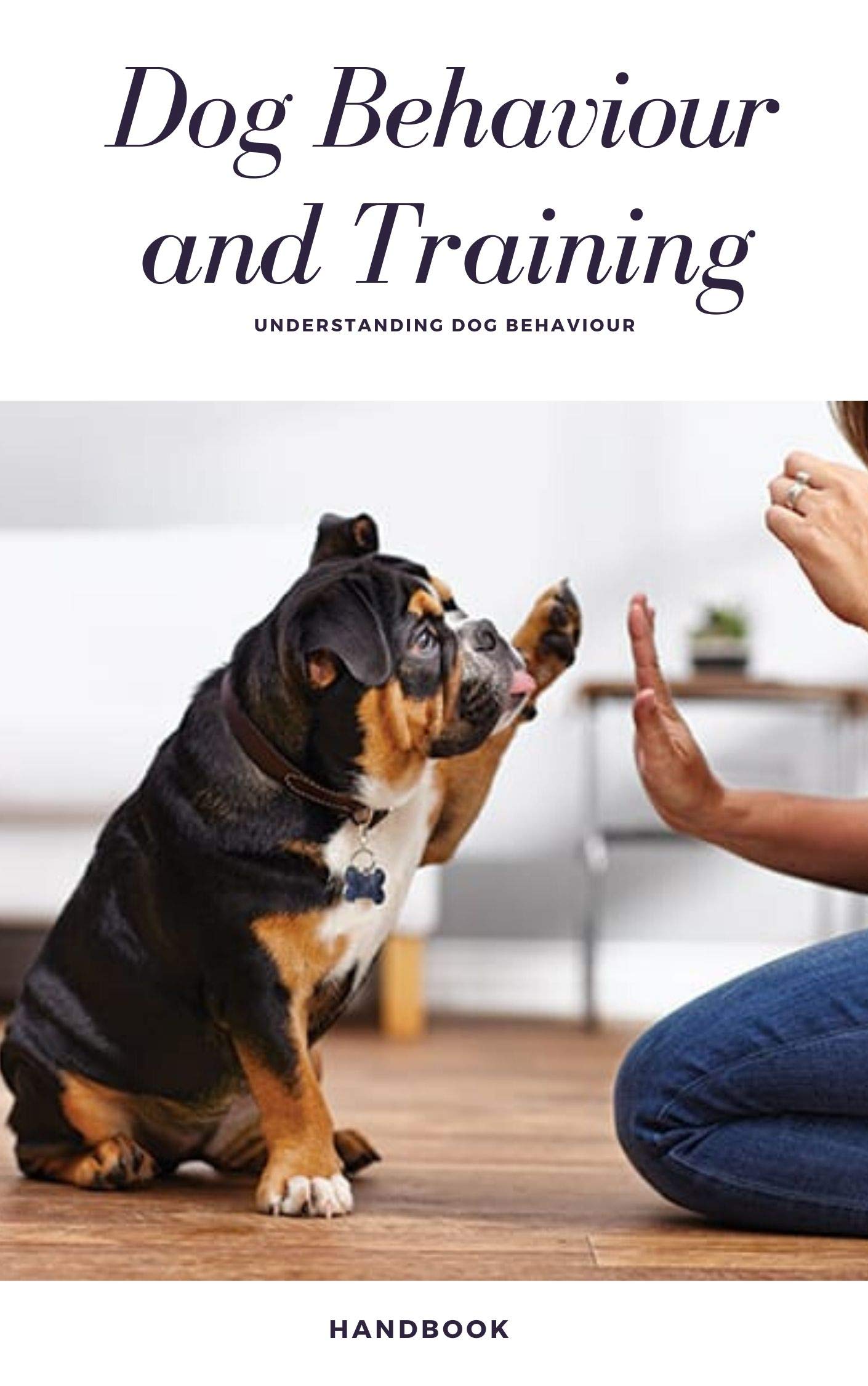 What Is Bad Dog Behavior