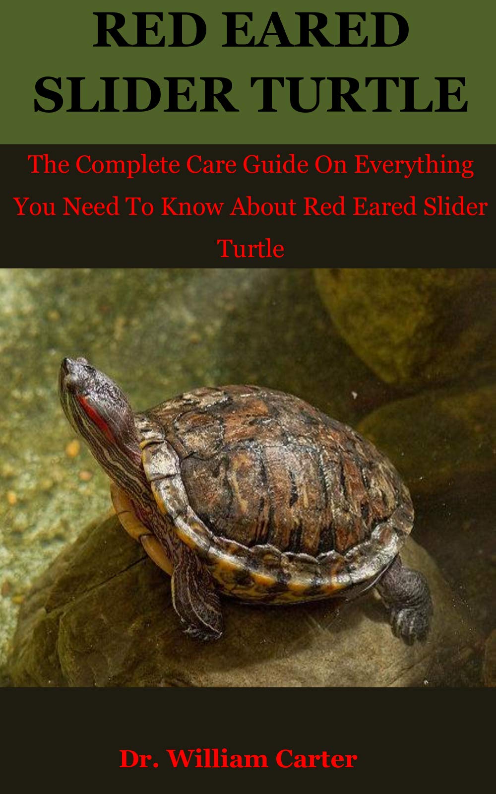 Red Eared Slider Turtle: The Complete Care Guide On Everything You Need To Know About Red Eared ...