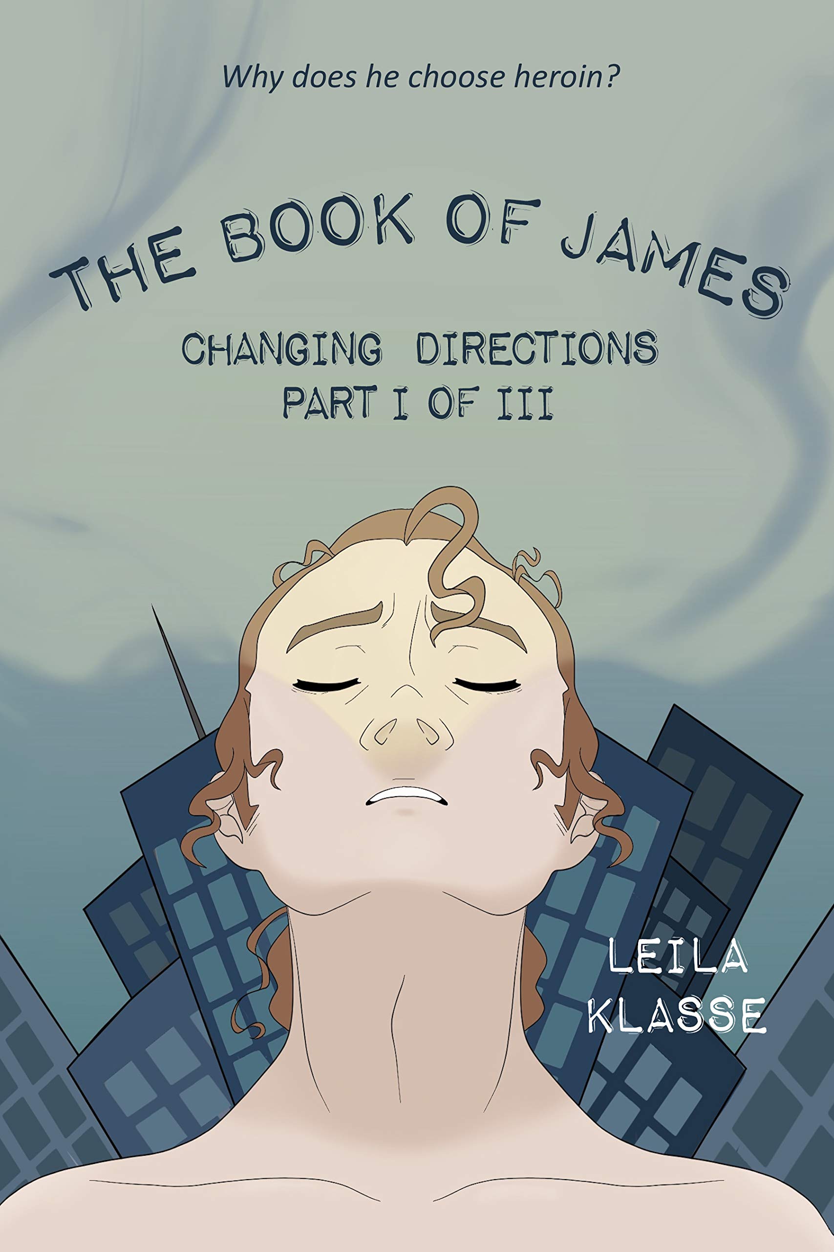 The Book of James: Changing Directions Part I of III by Leila Klasse ...