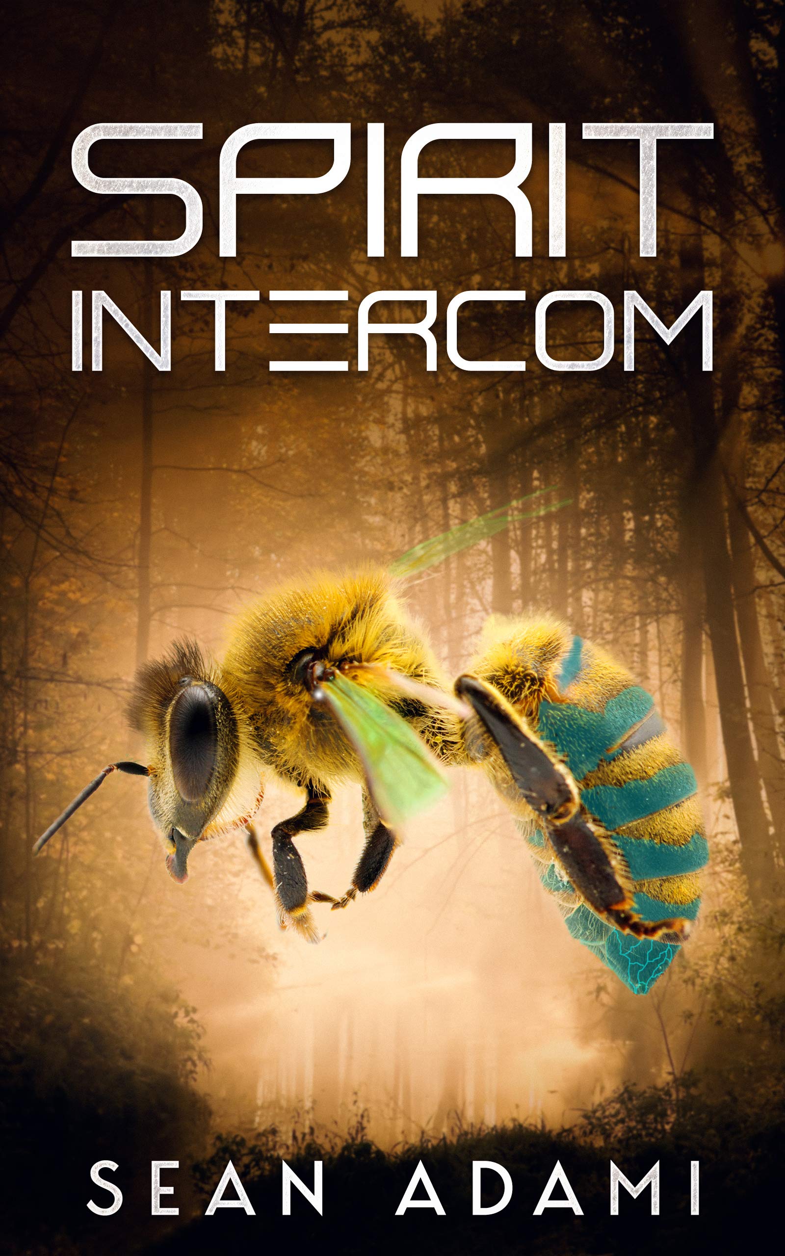 Spirit Intercom by Seanny A | Goodreads