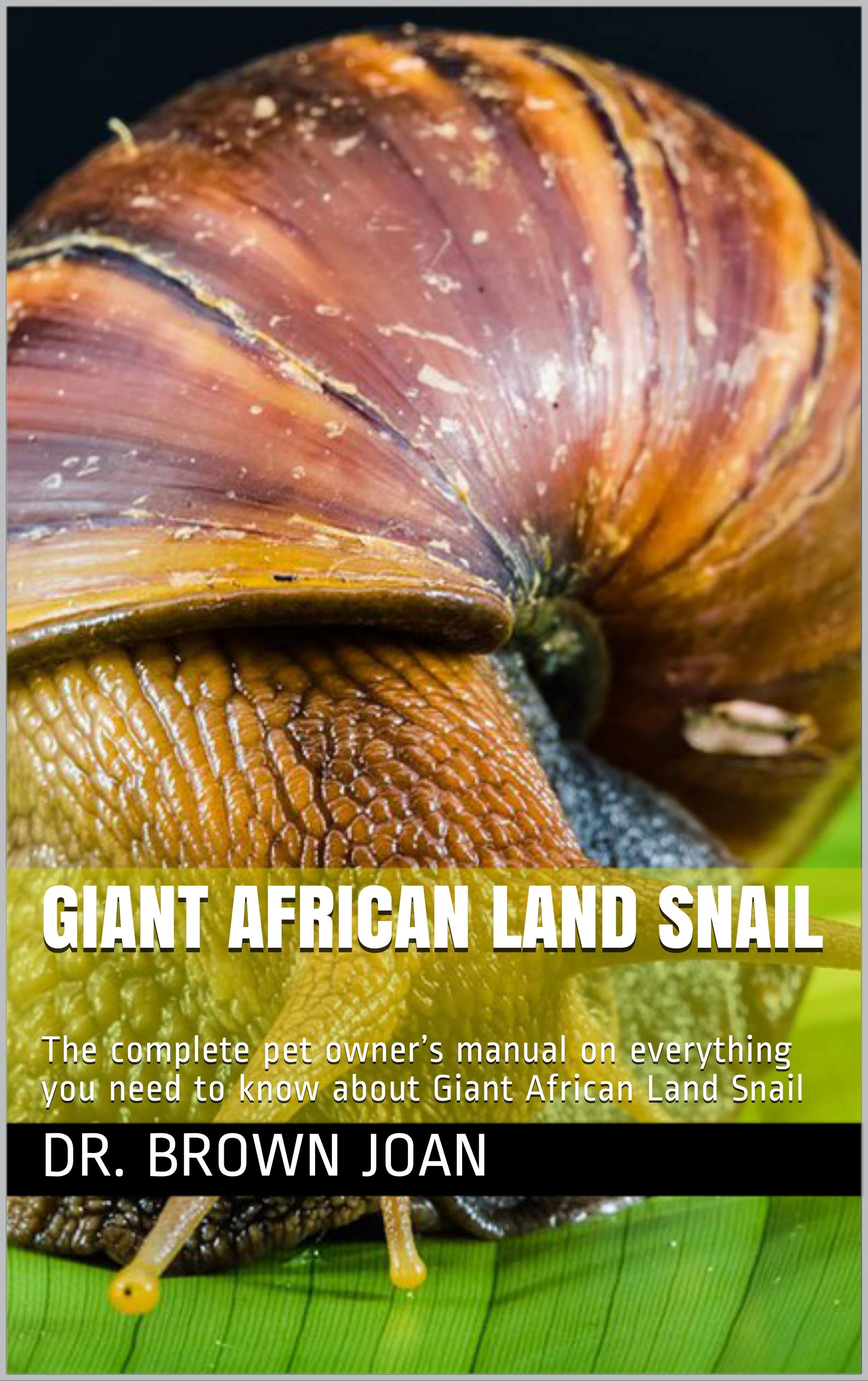 Giant African Land Snail: The complete pet owner’s manual on everything ...