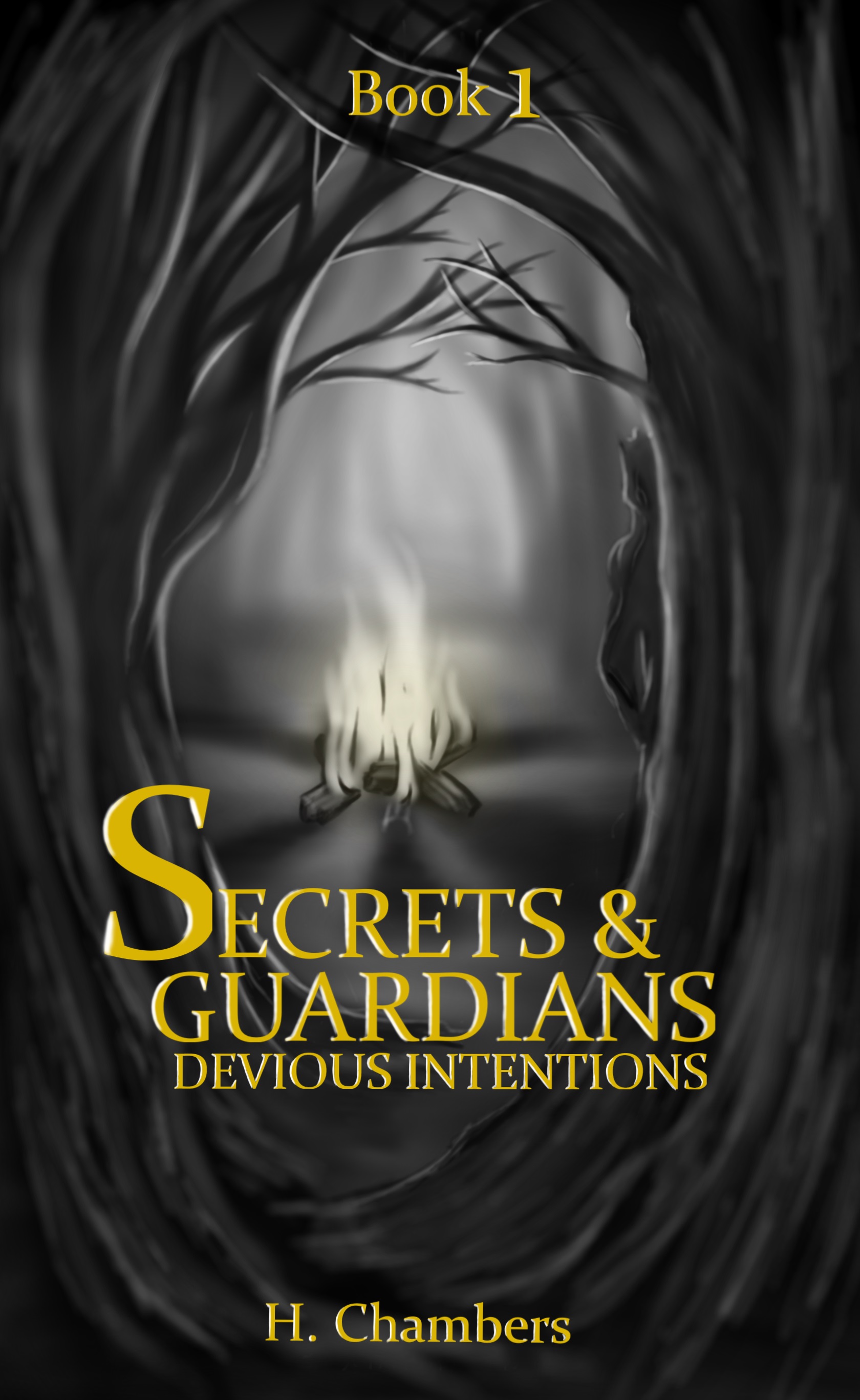 Secrets and Guardians by Helen Chambers | Goodreads