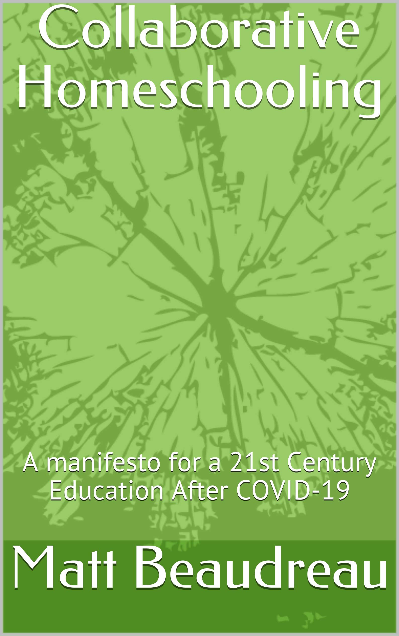 Collaborative Homeschooling : A manifesto for a 21st Century Education ...