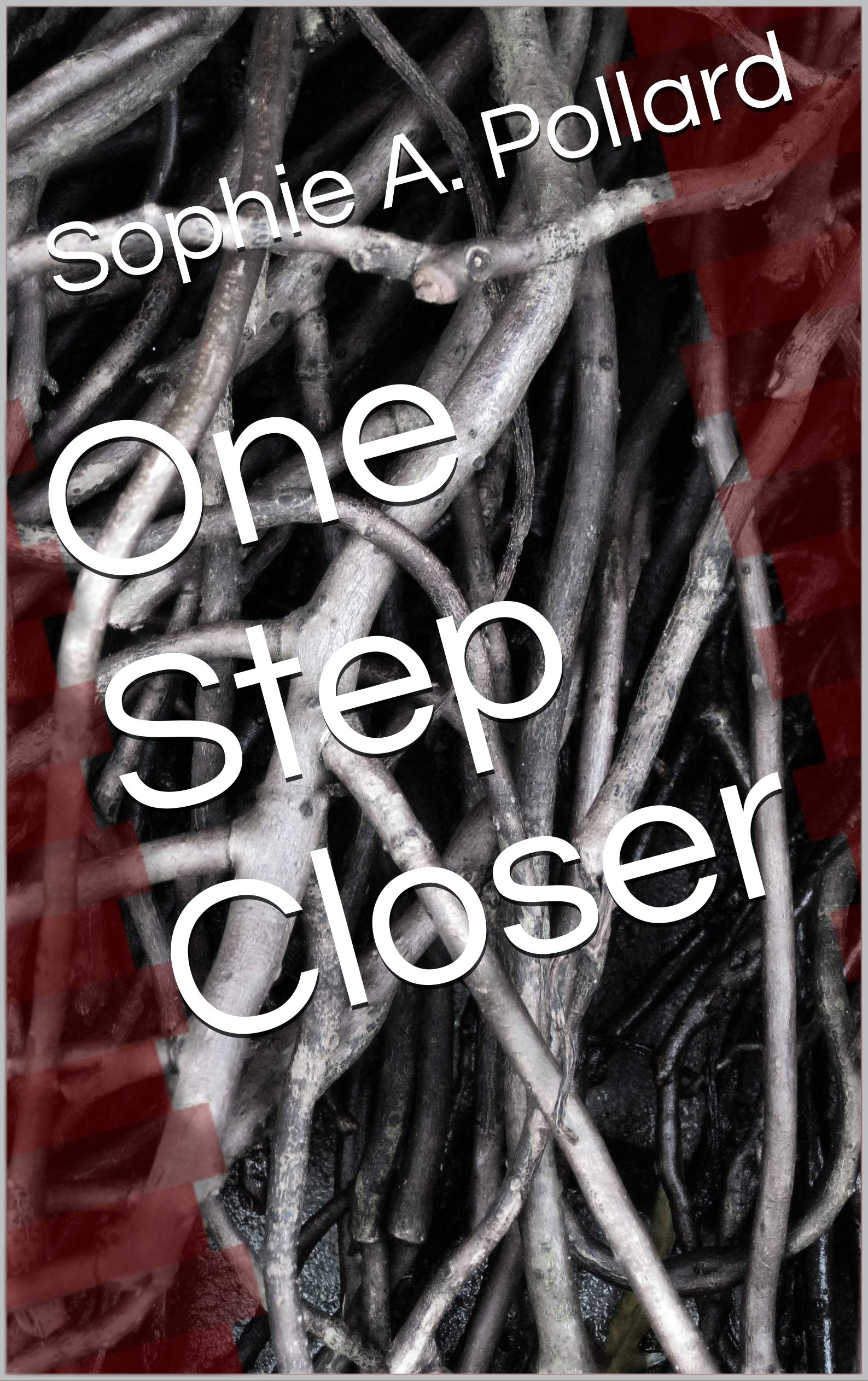 One Step Closer by Sophie A. Pollard | Goodreads