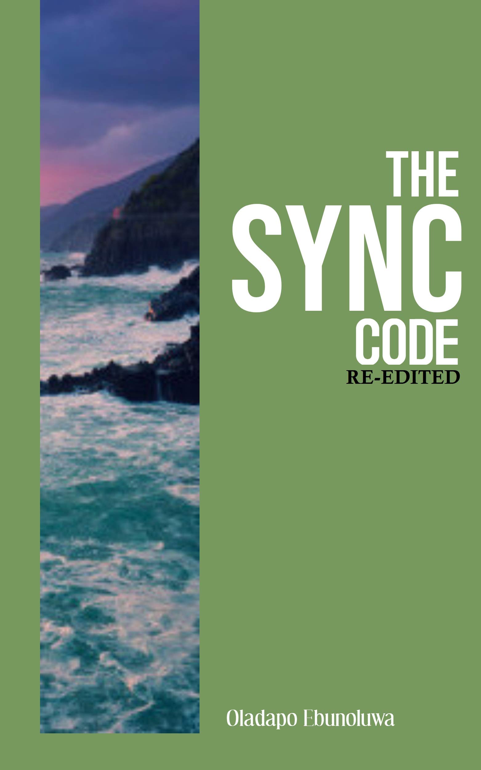 The Sync Code Re Edited By Oladapo Ebunoluwa Goodreads 