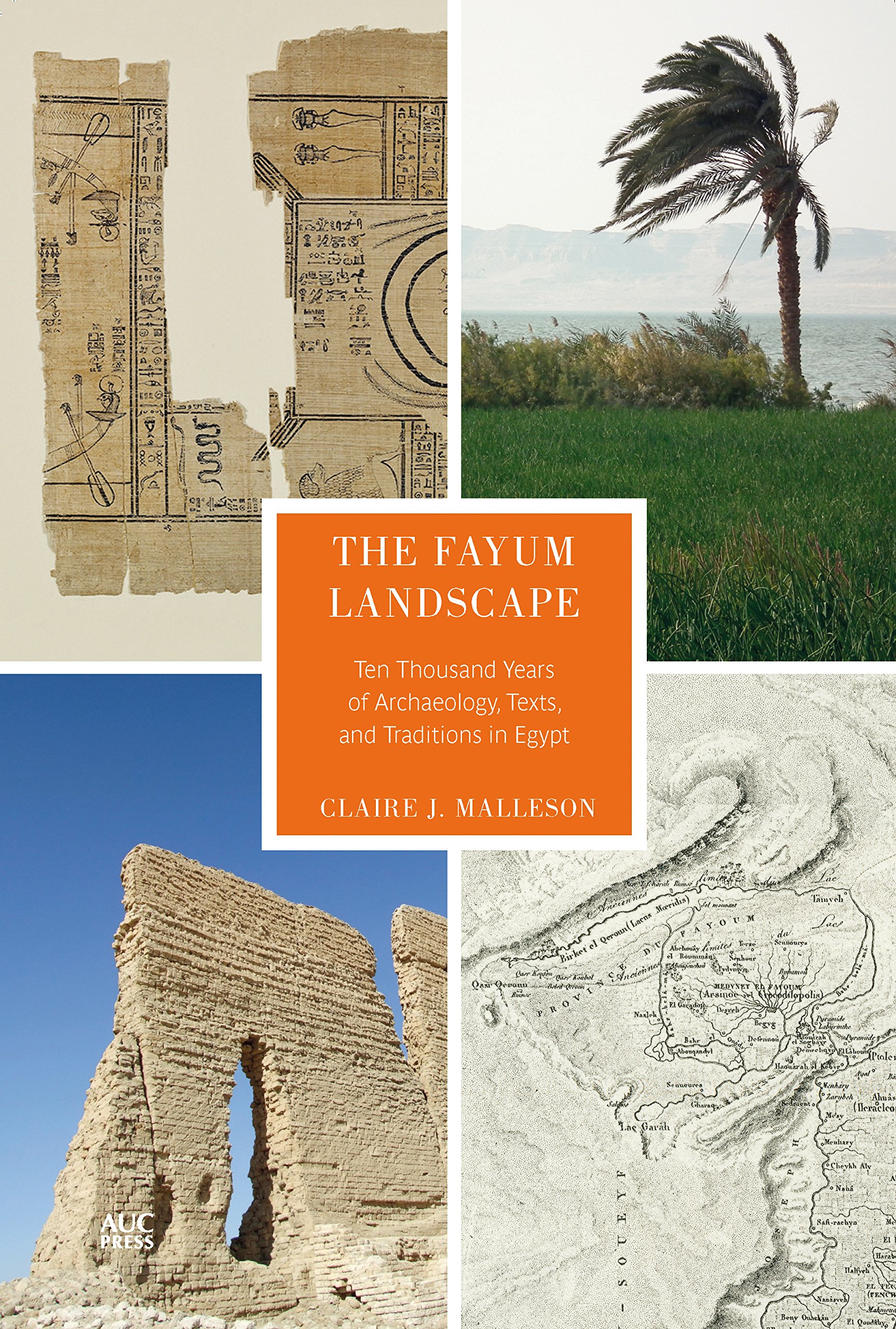 The Fayum Landscape: Ten Thousand Years of Archaeology, Texts, and ...