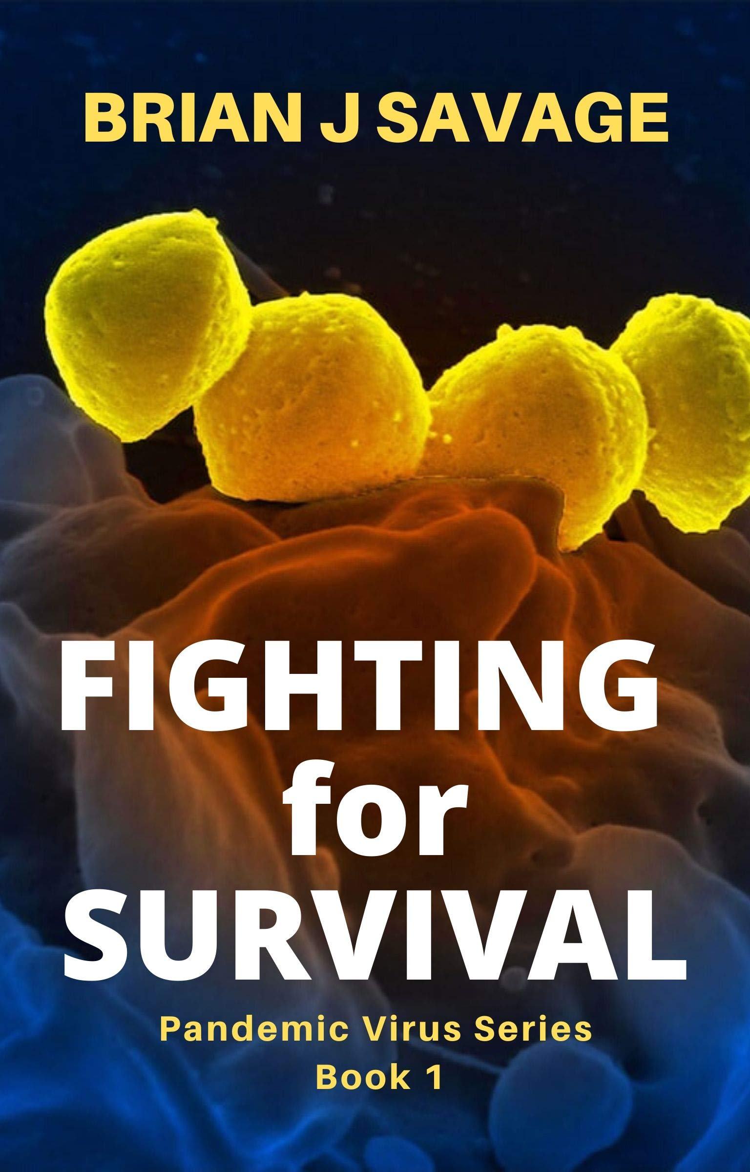FIGHTING FOR SURVIVAL: It's no longer about the virus, it's how to ...