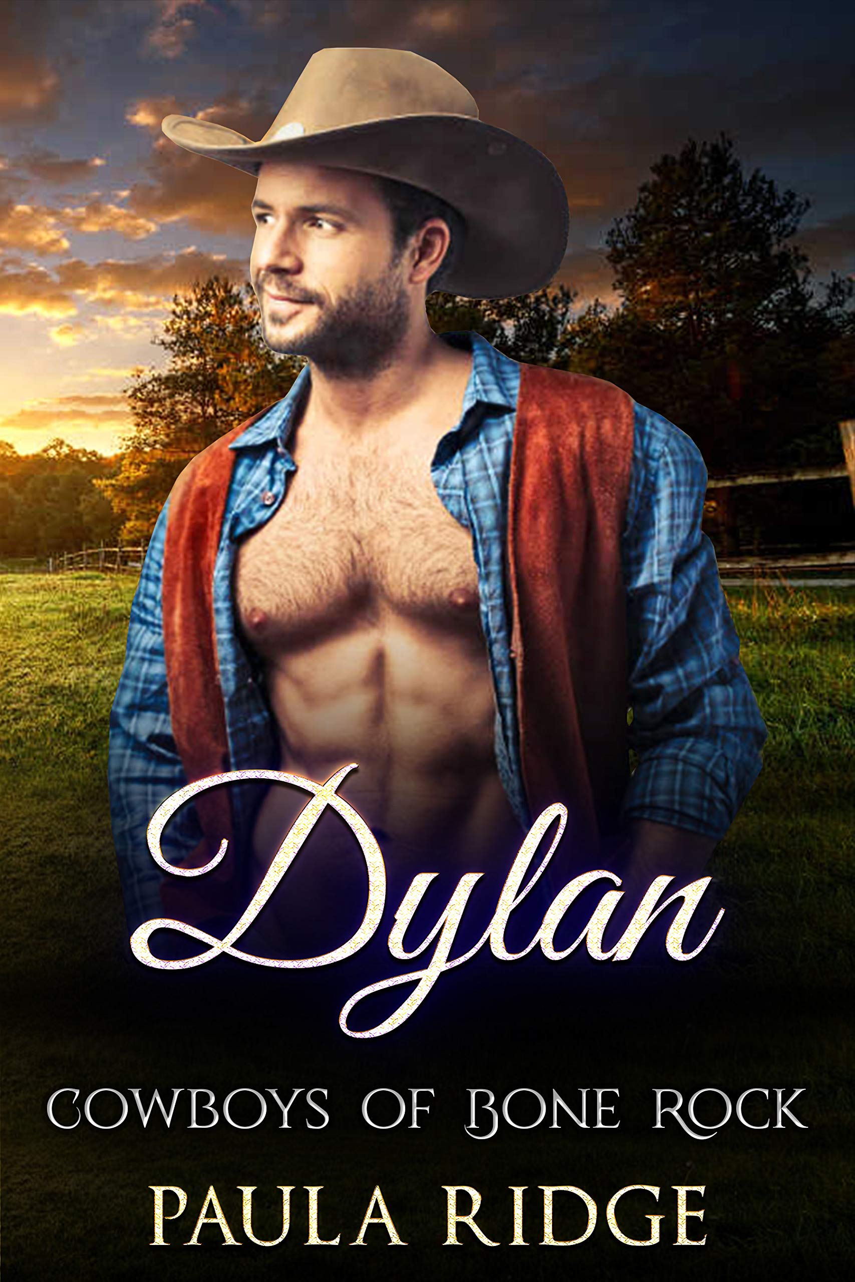 Dylan (Cowboys of Bone Rock Book 4) by Paula Ridge | Goodreads