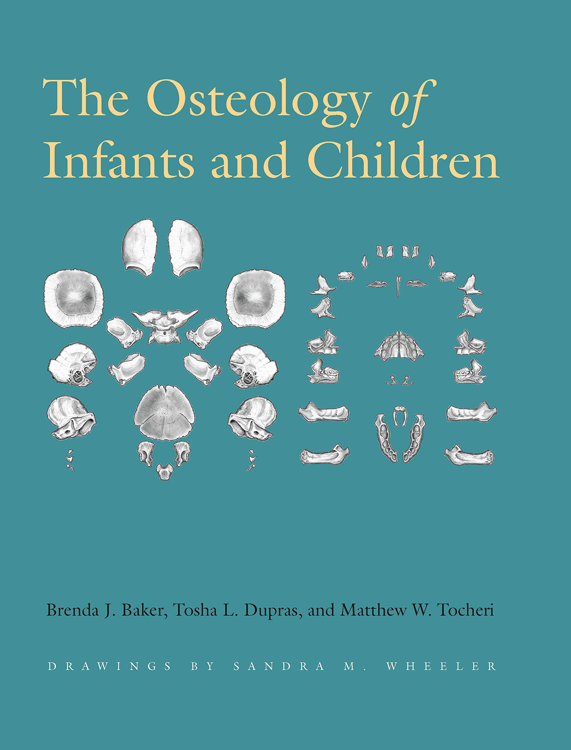 The Osteology of Infants and Children by Brenda J. Baker | Goodreads