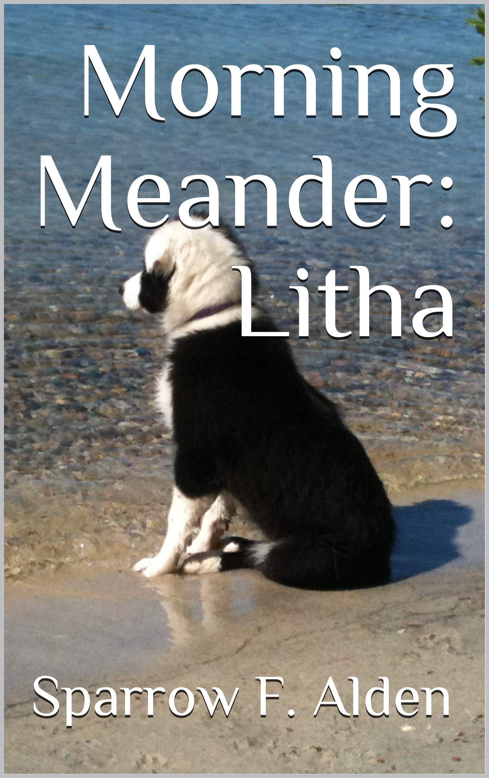 Morning Meander: Litha (Morning Meanders Book 5) by Sparrow F. Alden ...