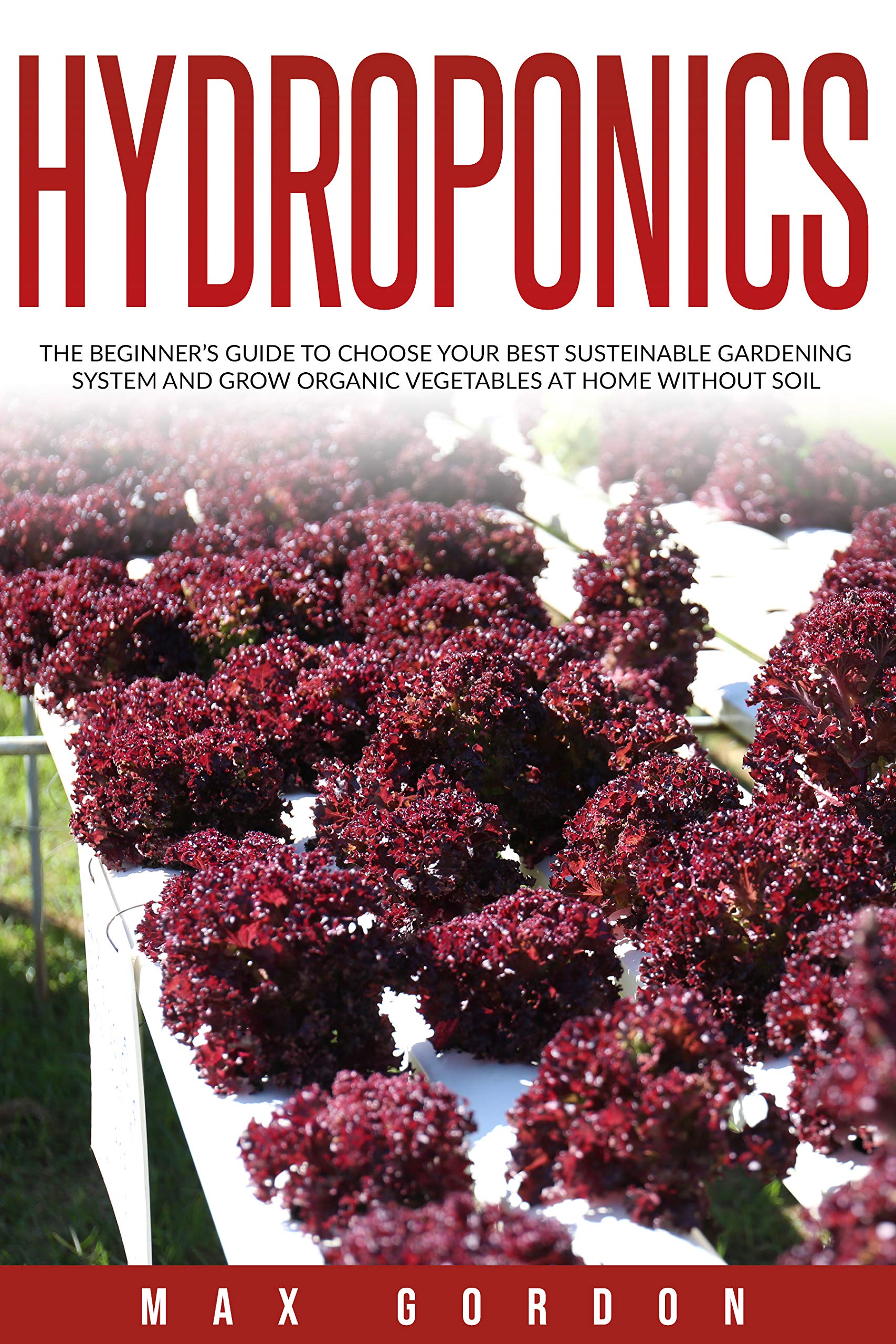 HYDROPONICS: THE BEGINNER’S GUIDE TO CHOOSE YOUR BEST SUSTAINABLE ...