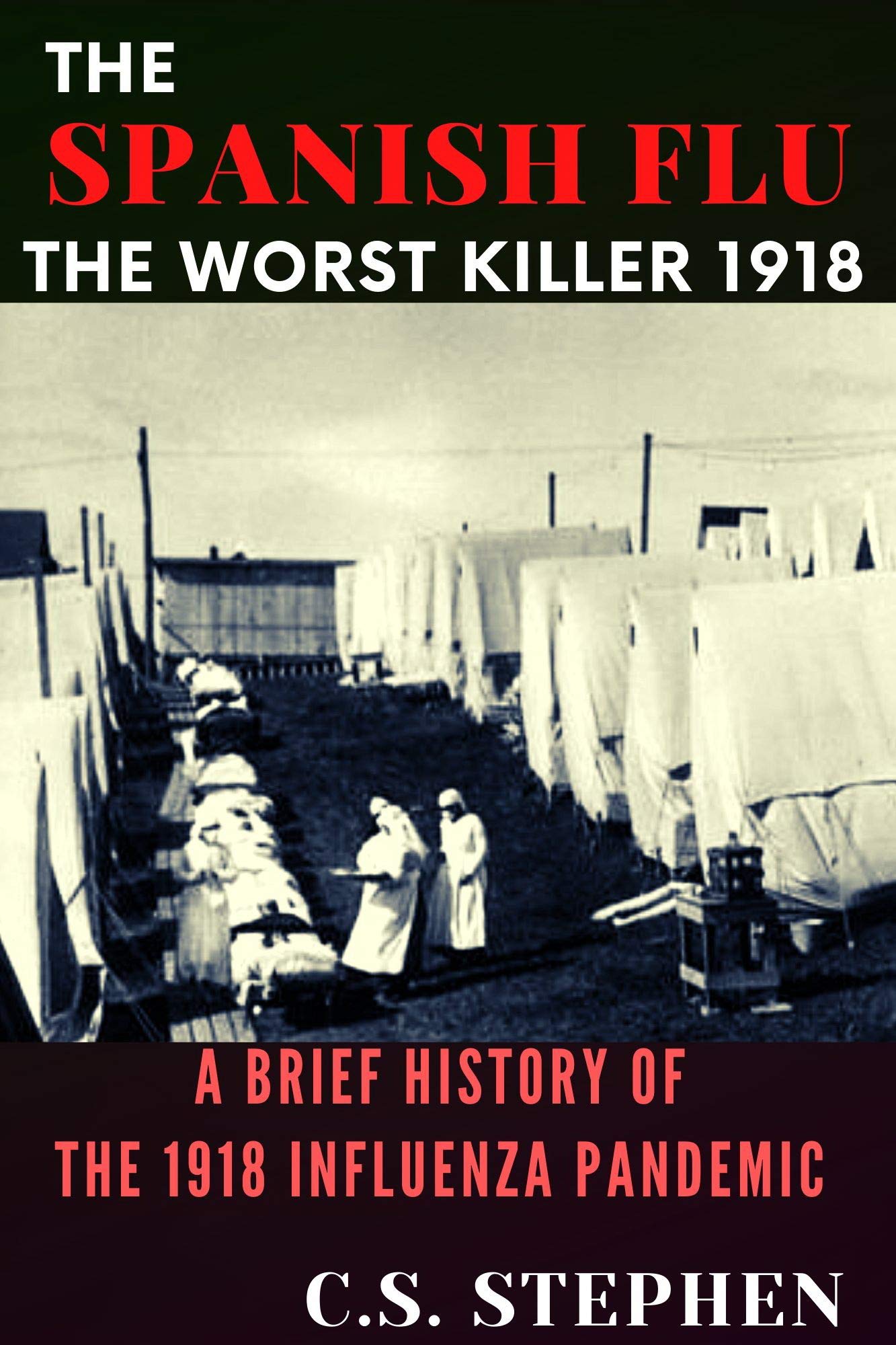 The Spanish Flu The Worst Killer 1918: A Brief History of the 1918 ...
