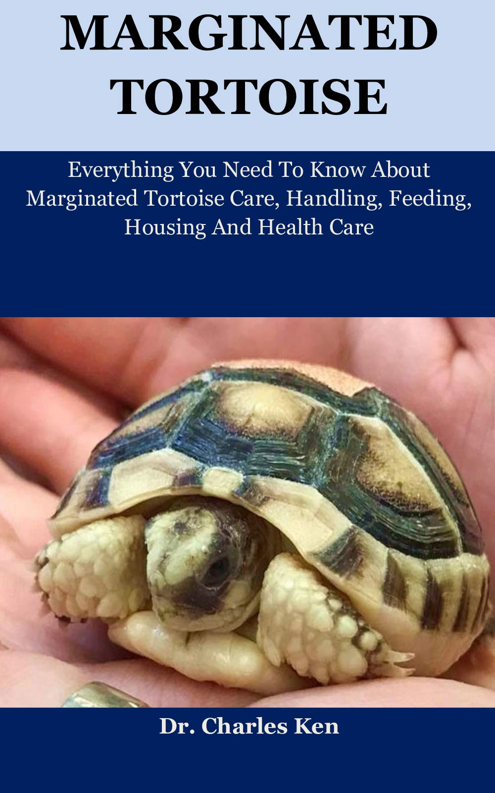 Marginated Tortoise: Everything You Need To Know About Marginated ...