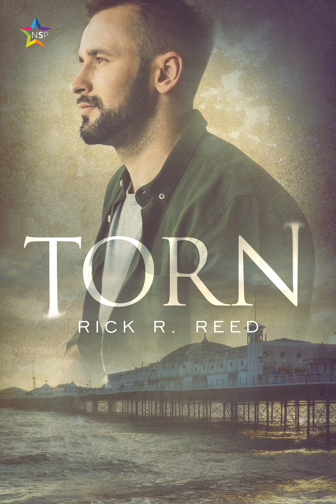 Torn by Rick R. Reed | Goodreads