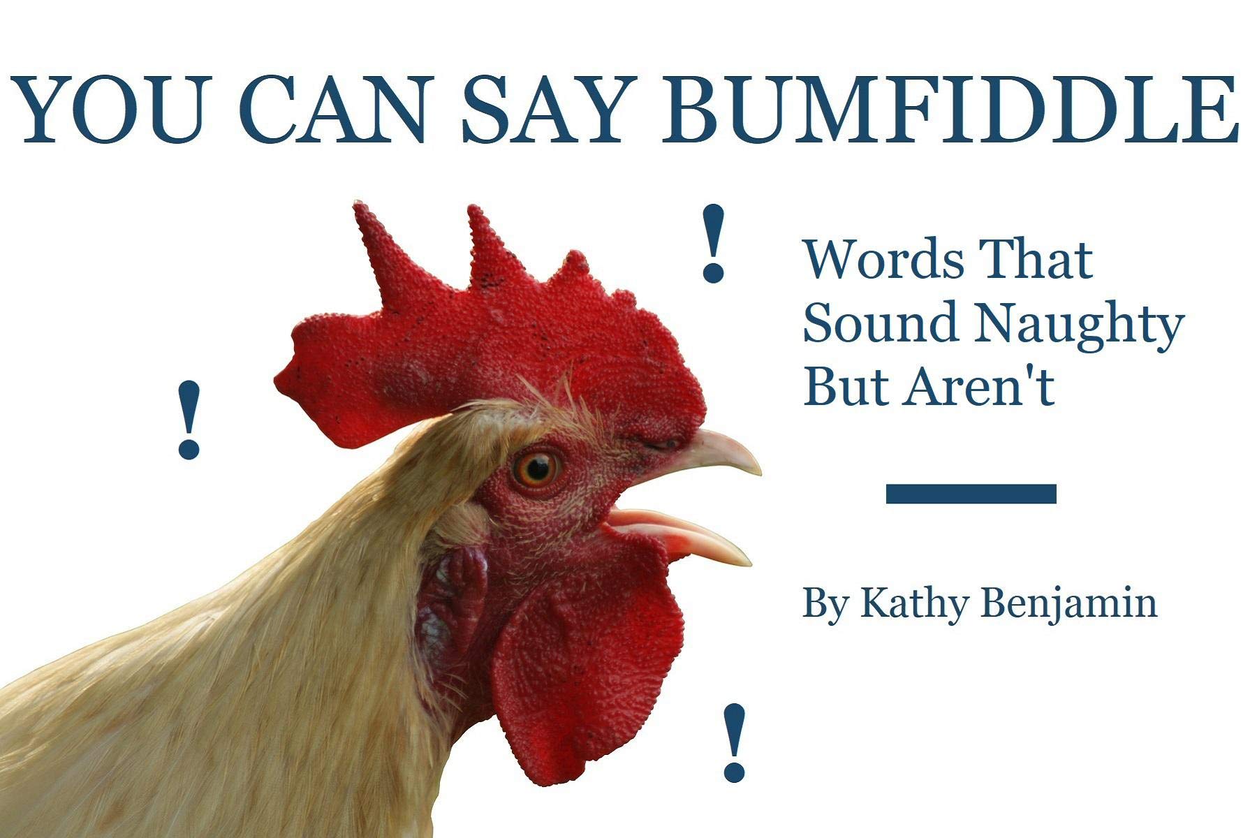 YOU CAN SAY BUMFIDDLE: Words That Sound Naughty But Aren't by Kathy ...
