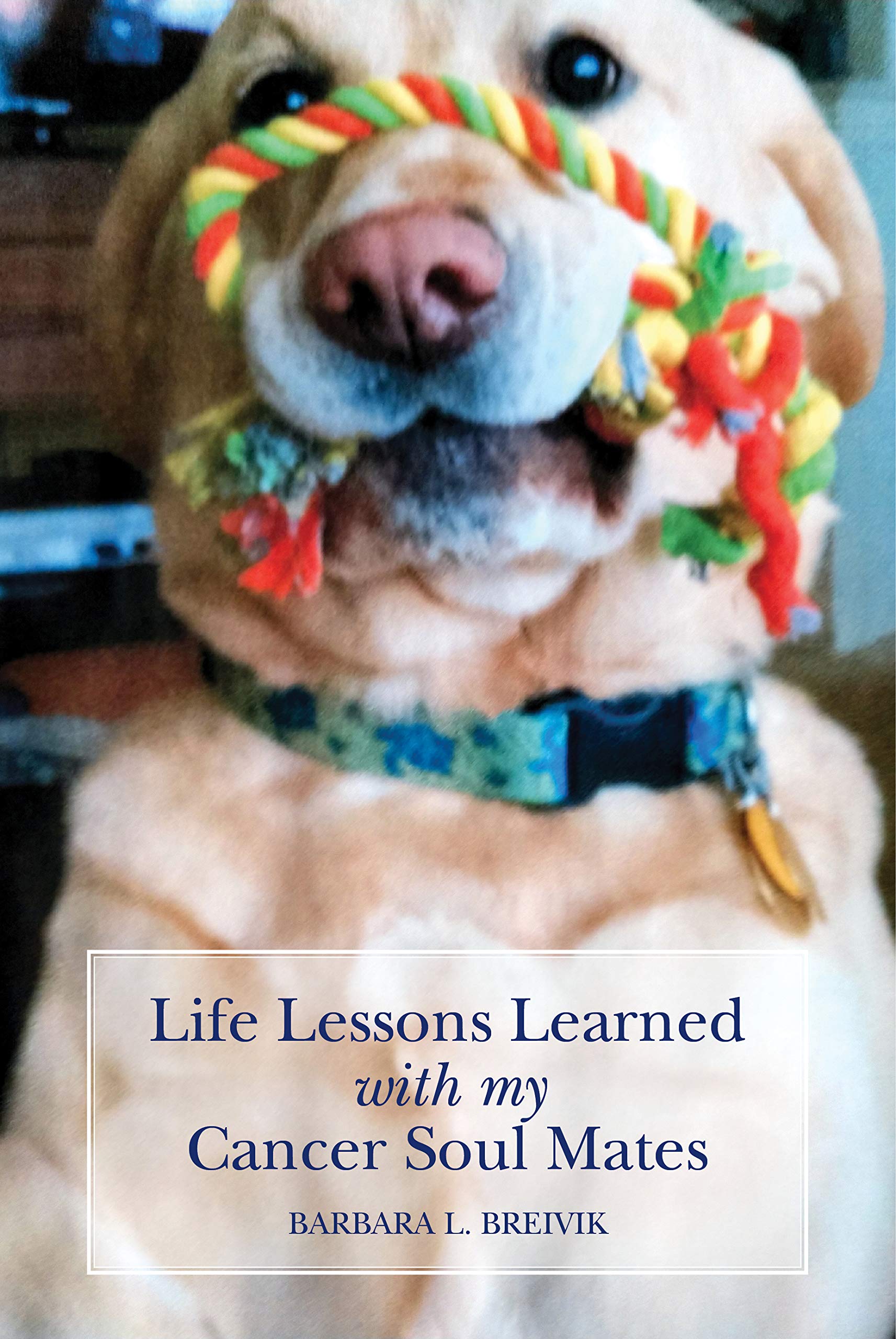 Life Lessons Learned with my Cancer Soul Mates by Barbara L. Breivik ...