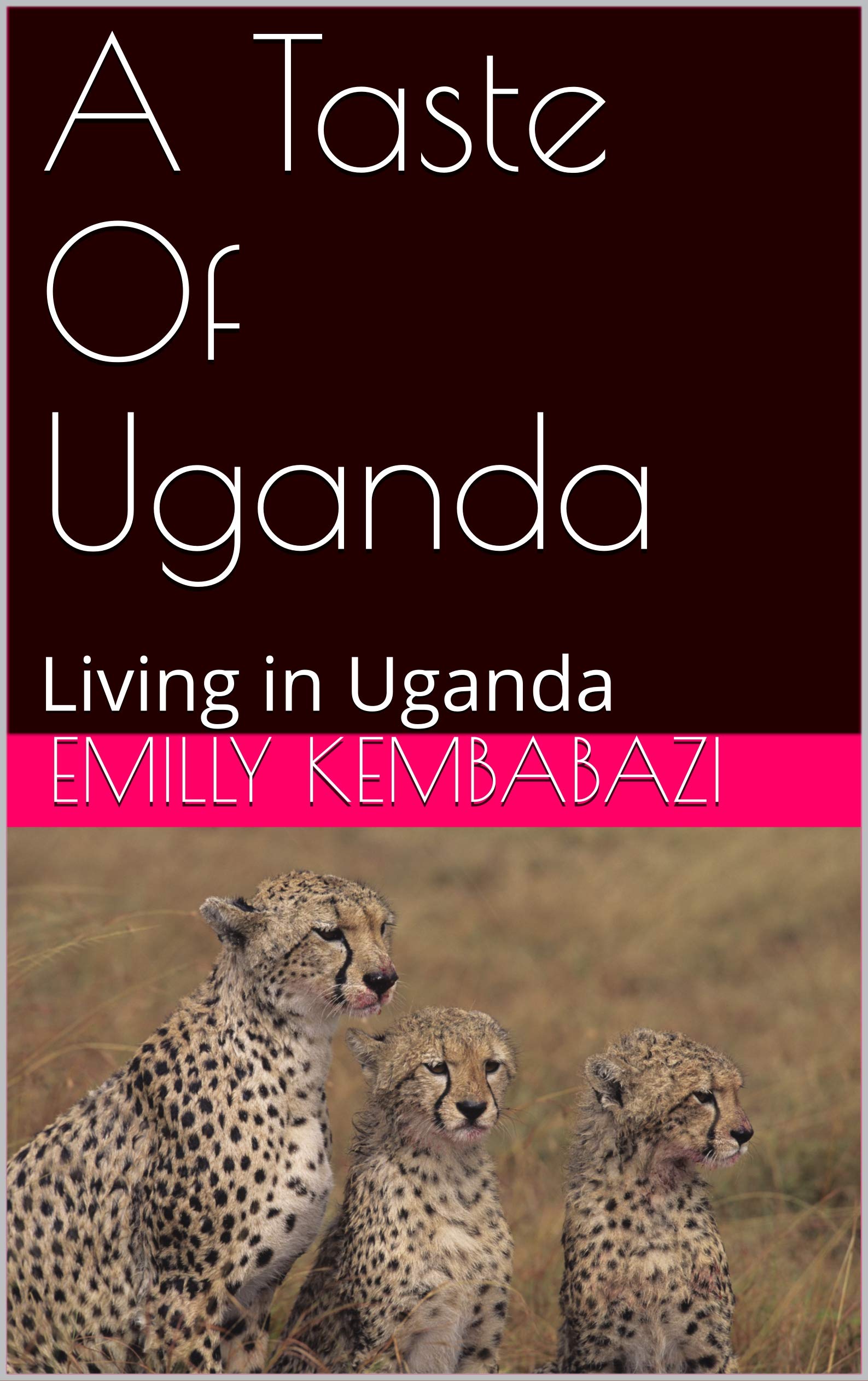 A Taste Of Uganda: Living in Uganda by Emilly Kembabazi | Goodreads