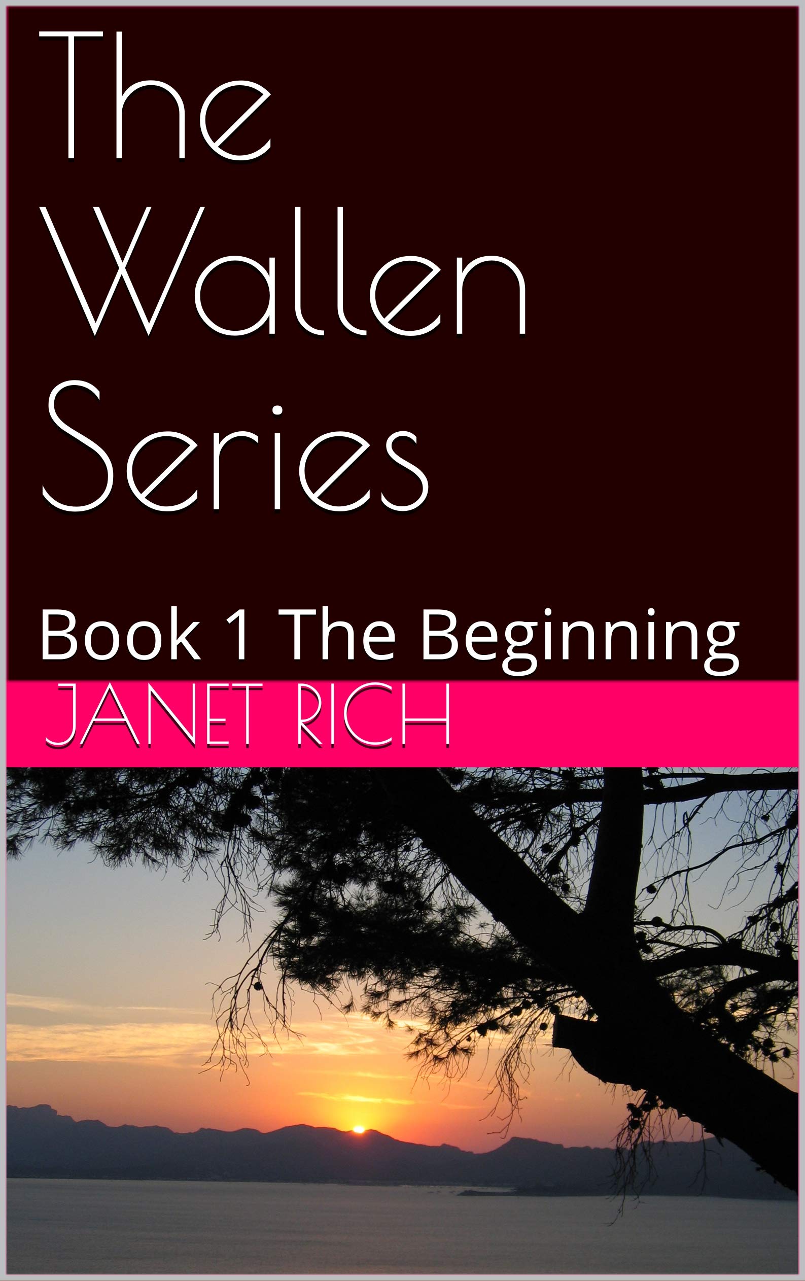 The Wallen Series: Book 1 The Beginning by Janet Rich | Goodreads