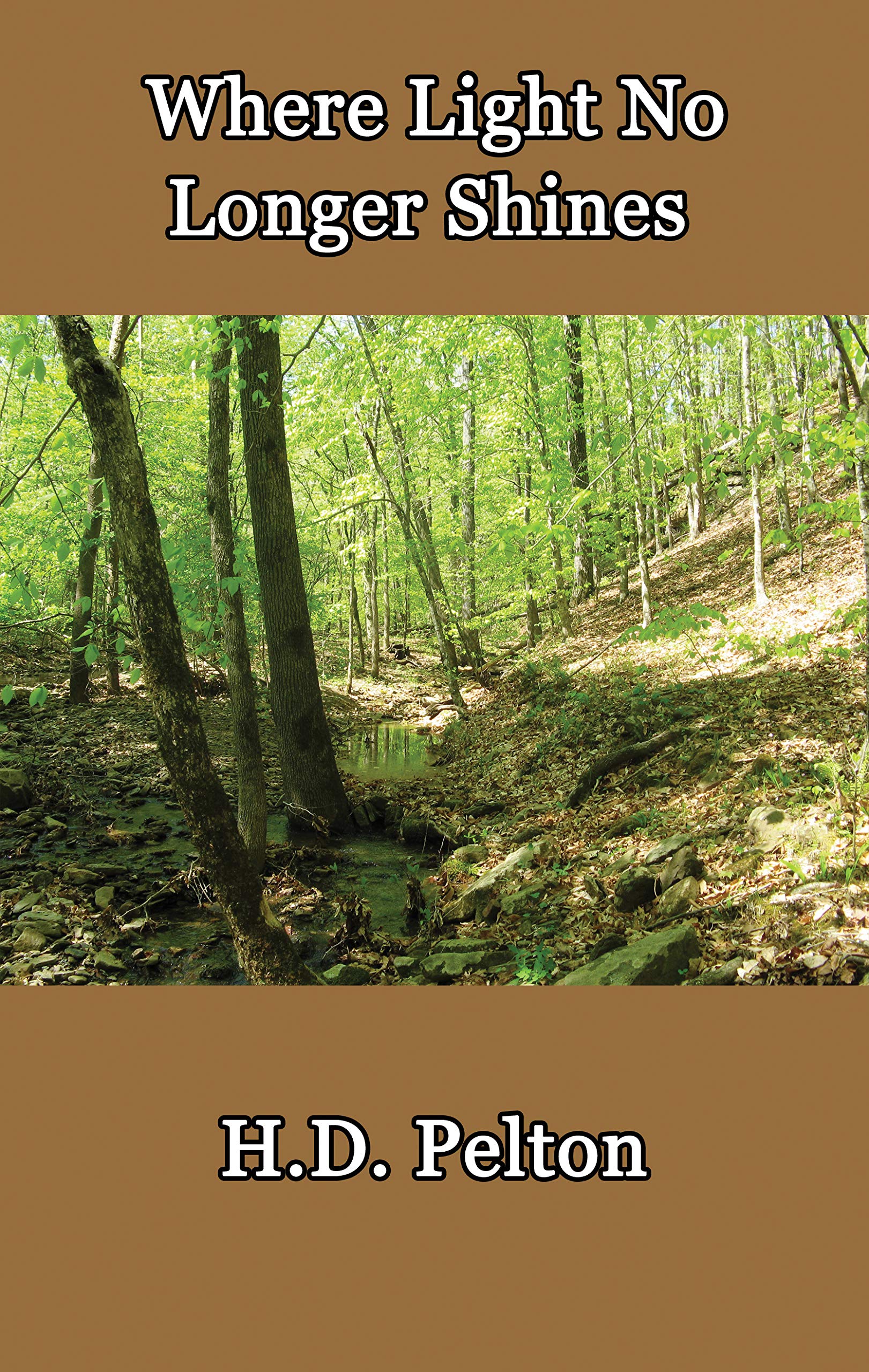 Where Light No Longer Shines by Harold Pelton | Goodreads