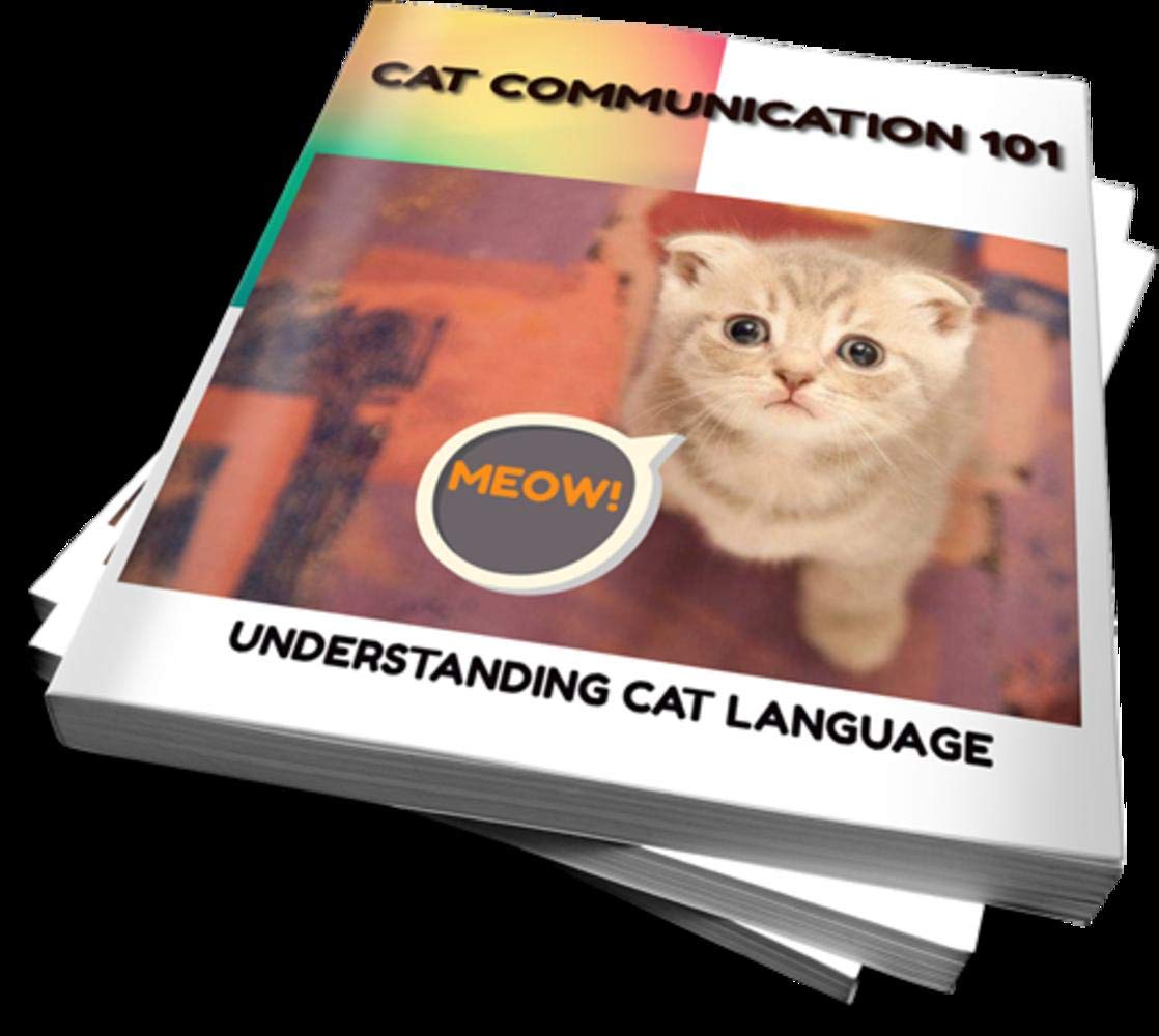 Cat Communication 101: Understanding Cat Language by Dwane Jenkins ...