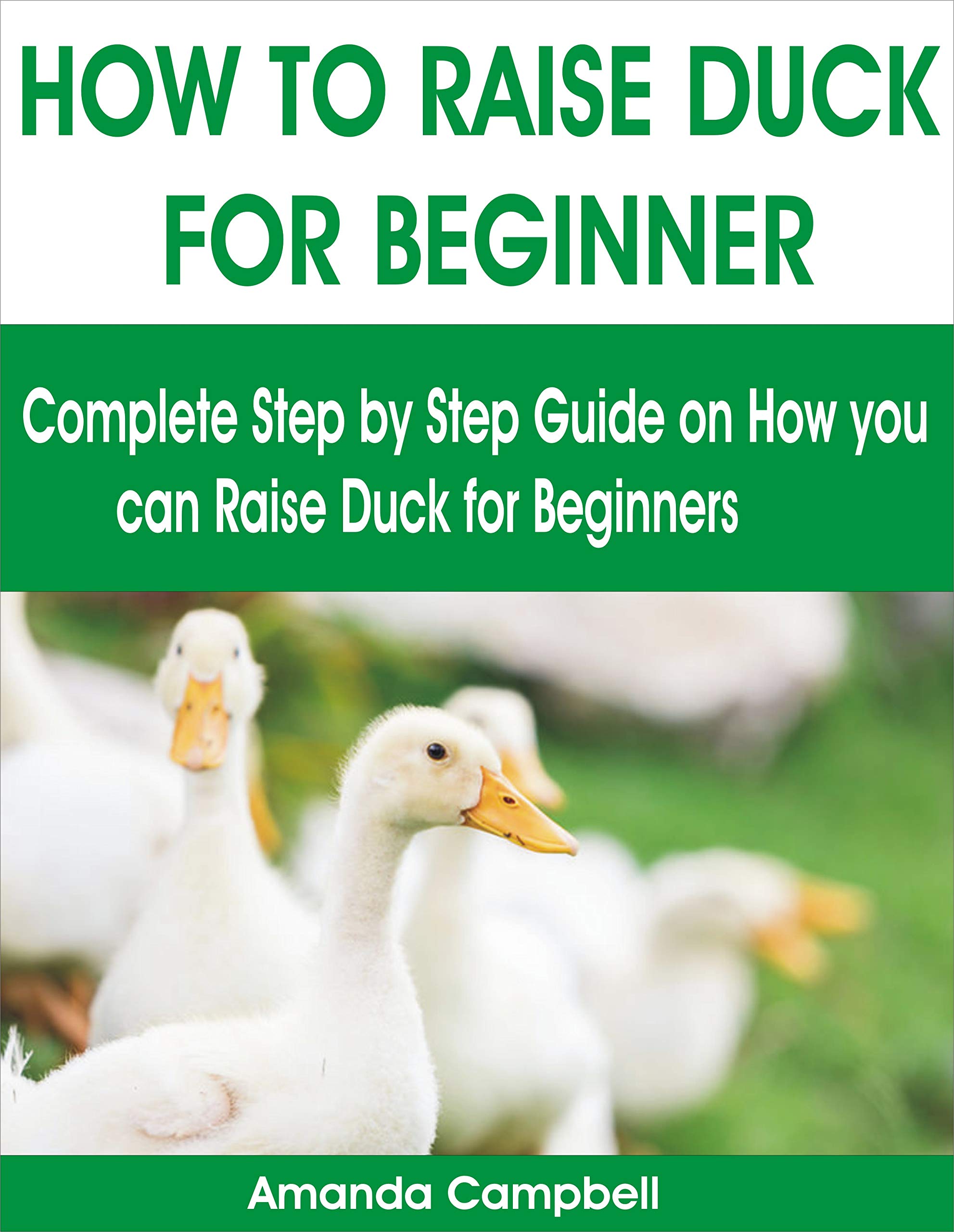 HOW TO RAISE DUCKS FOR BEGINNERS: The Complete Step by Step Guide On ...