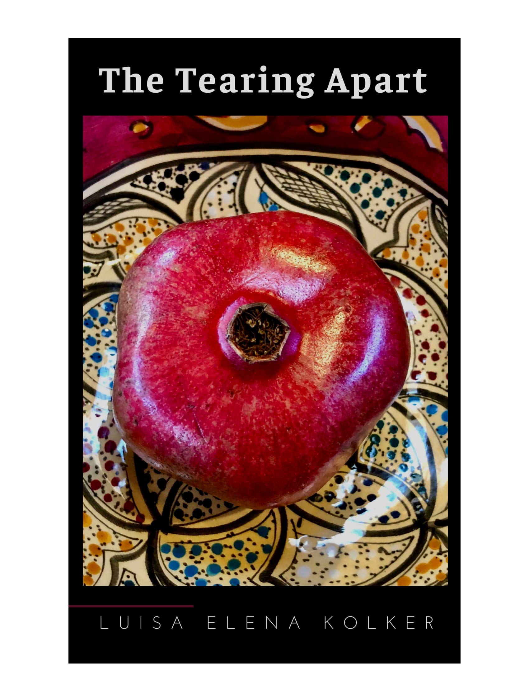 The Tearing Apart by Luisa Elena Kolker | Goodreads