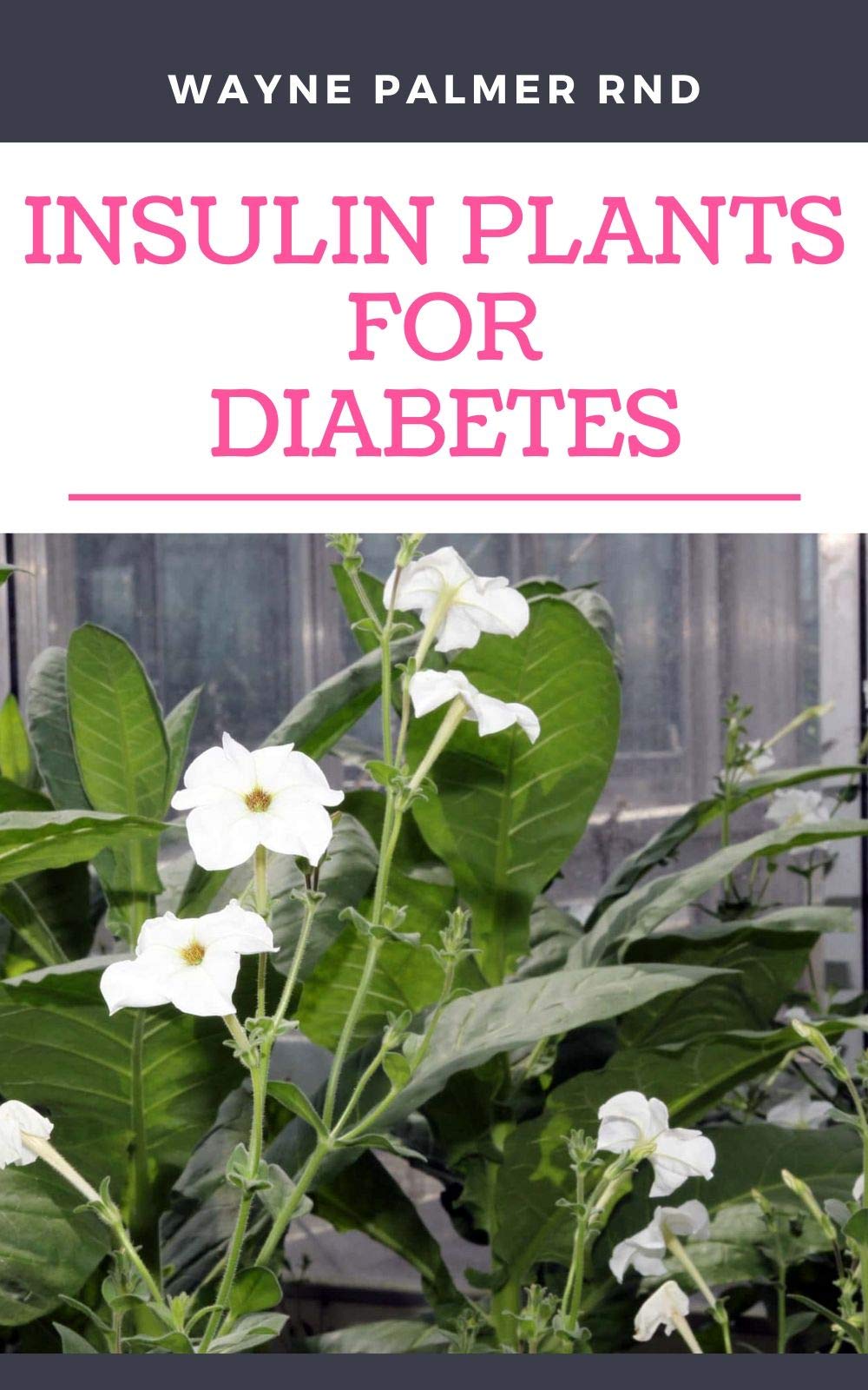 INSULIN PLANTS FOR DIABETES : The Miraculous Guide On How You Can Use ...