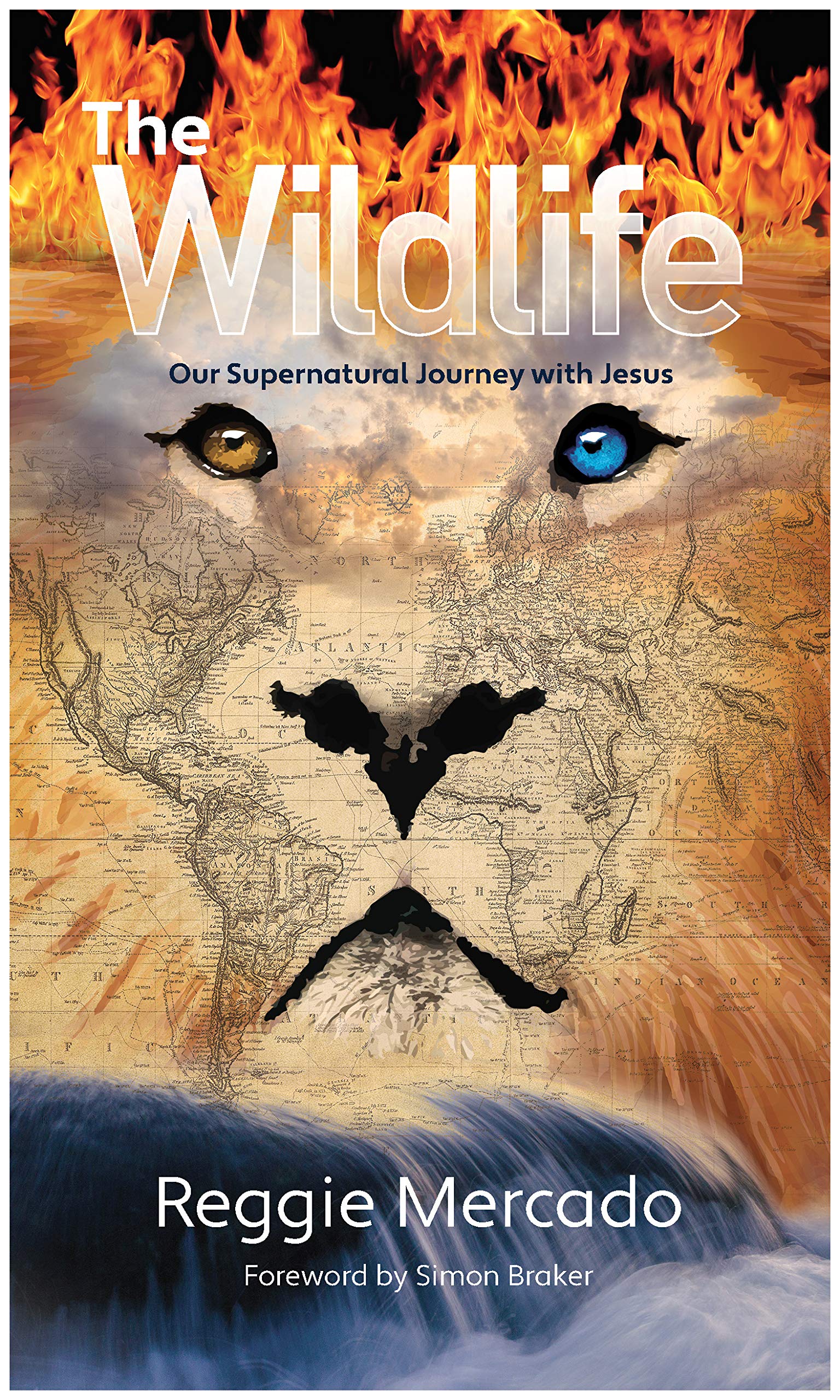 The Wildlife: Our Supernatural Journey with Jesus by Reggie Mercado ...