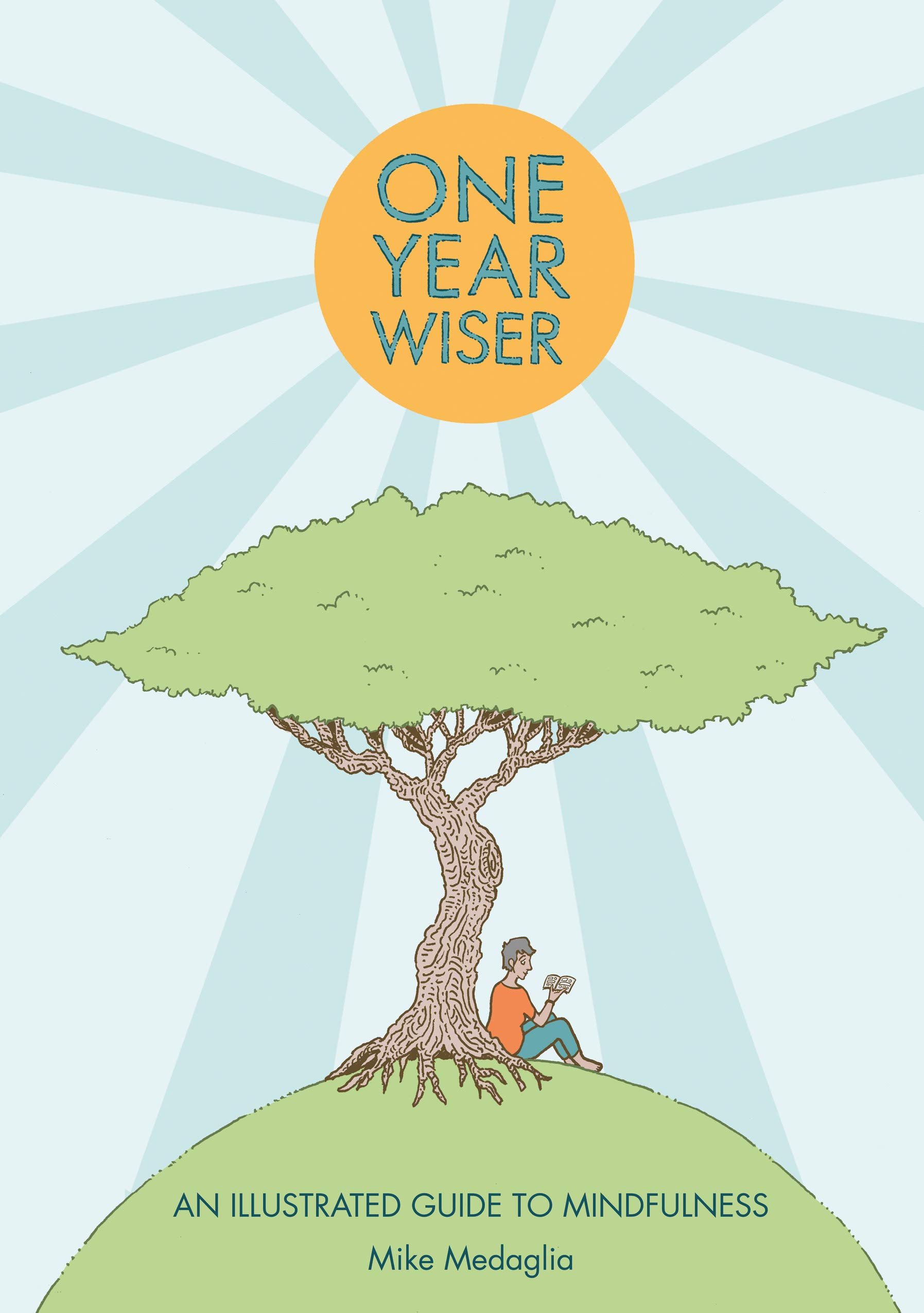 One Year Wiser: An Illustrated Guide to Mindfulness: A Graphic Guide to ...