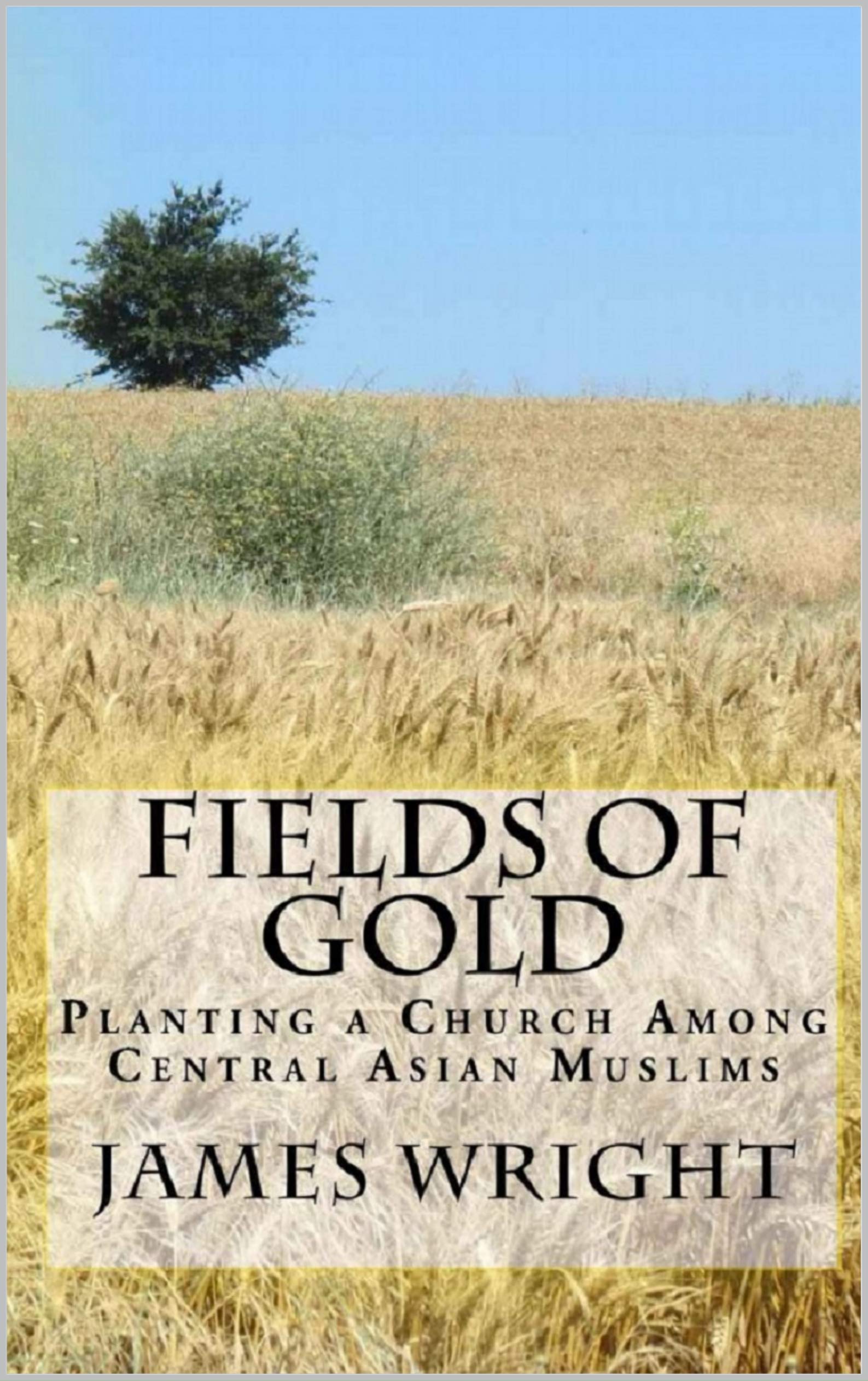 Fields of Gold: Planting a Church Among Central Asian Muslims, 3rd ...