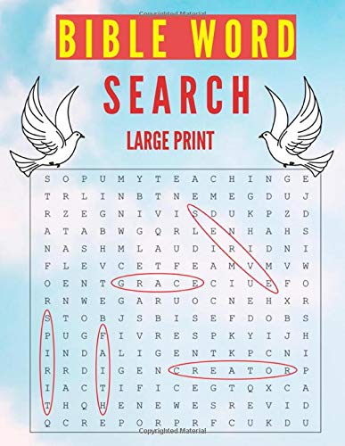 Bible Word Search Large Print: Relgious Word Search Puzzles by Romono ...