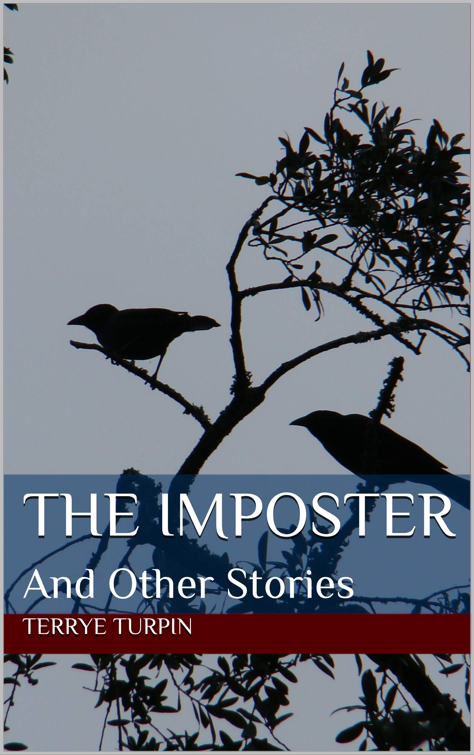 The Imposter: And Other Stories by Terrye Turpin | Goodreads