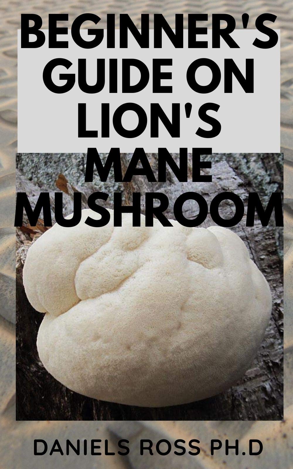 BEGINNERS GUIDE ON LION'S MANE MUSHROOM: Everything You Need to Know ...